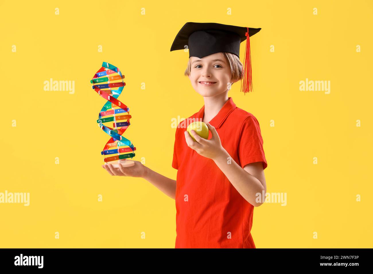 Little boy in graduation hat with apple and DNA model on yellow ...