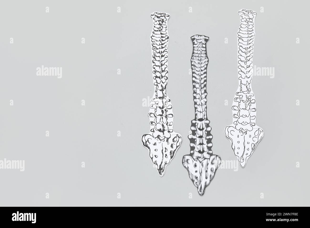 Paper spines on light background Stock Photo - Alamy