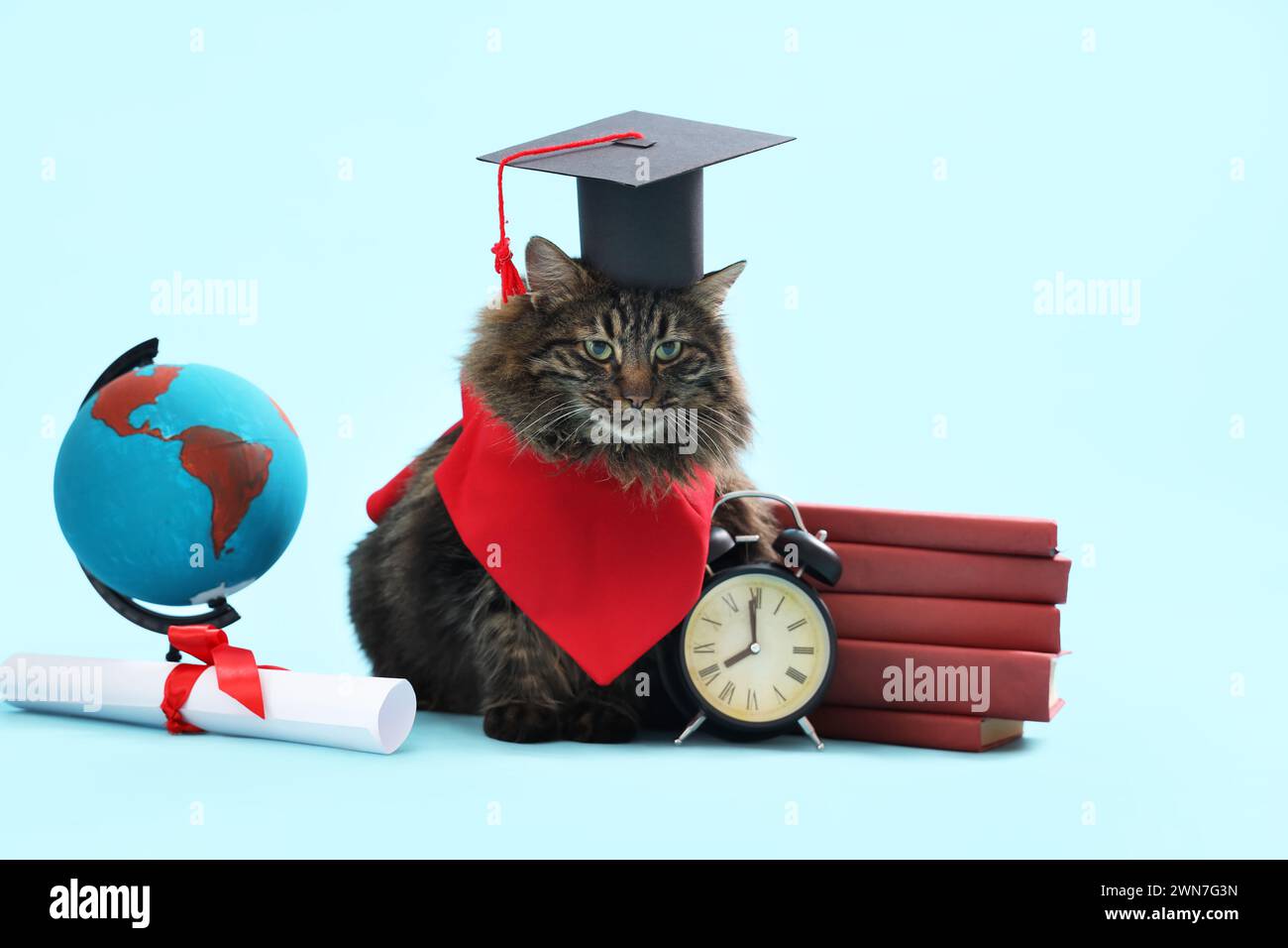 Cute cat with graduation hat, clock, books, globe and diploma on blue ...