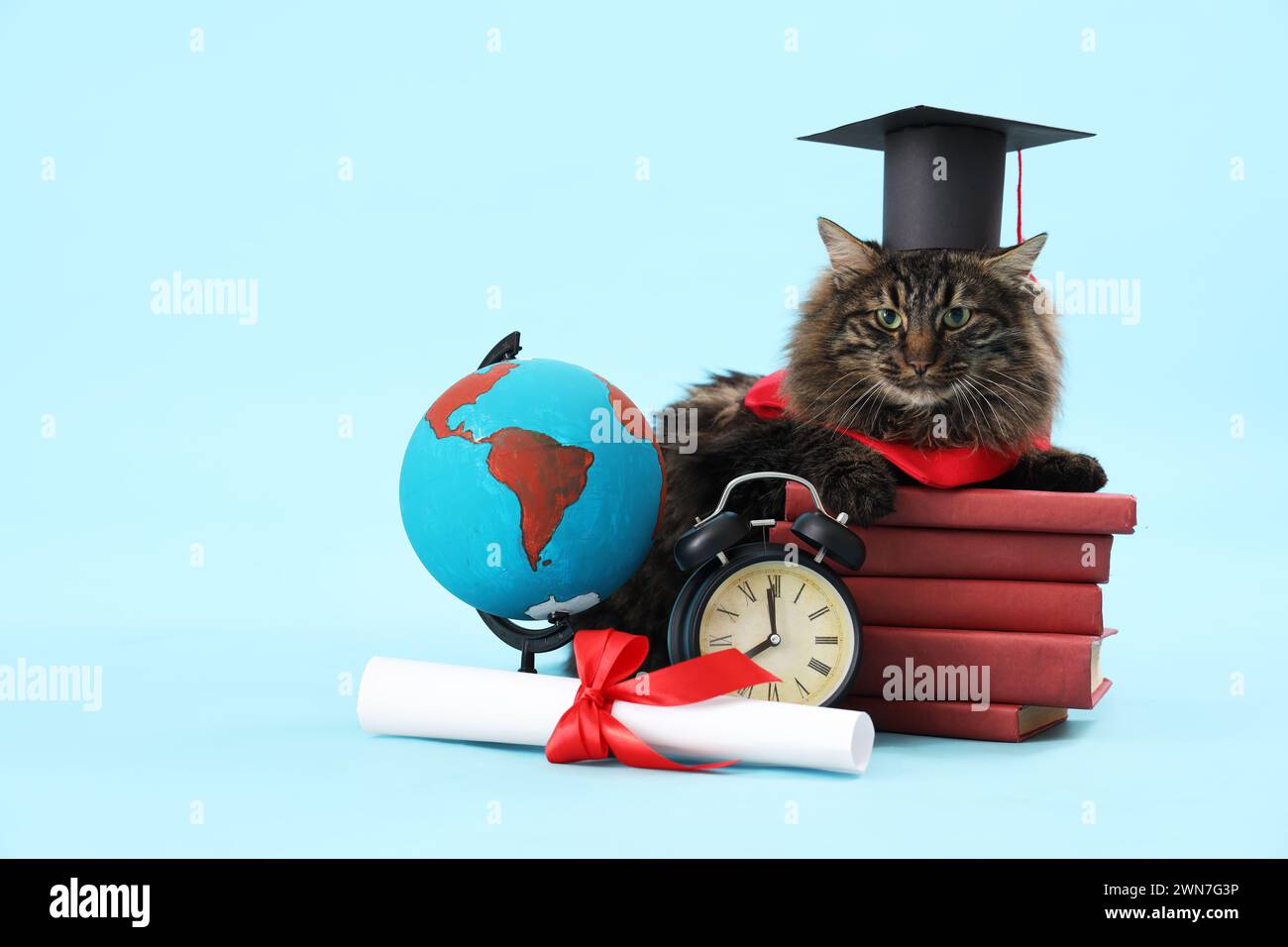 Cute cat with graduation hat, clock, books, globe and diploma on blue ...