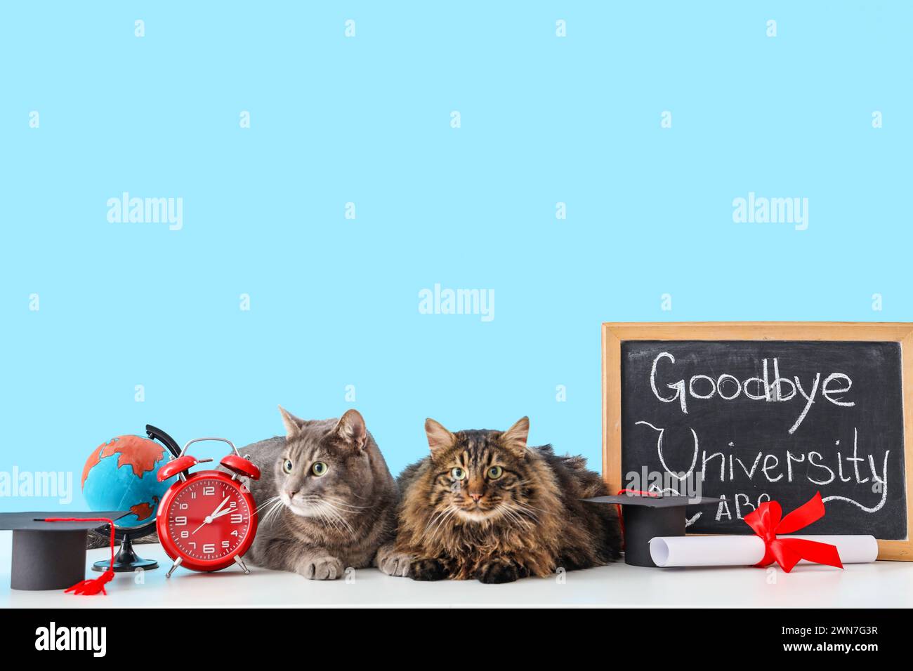 Cute cats and chalkboard with text GOODBYE UNIVERSITY on table against ...