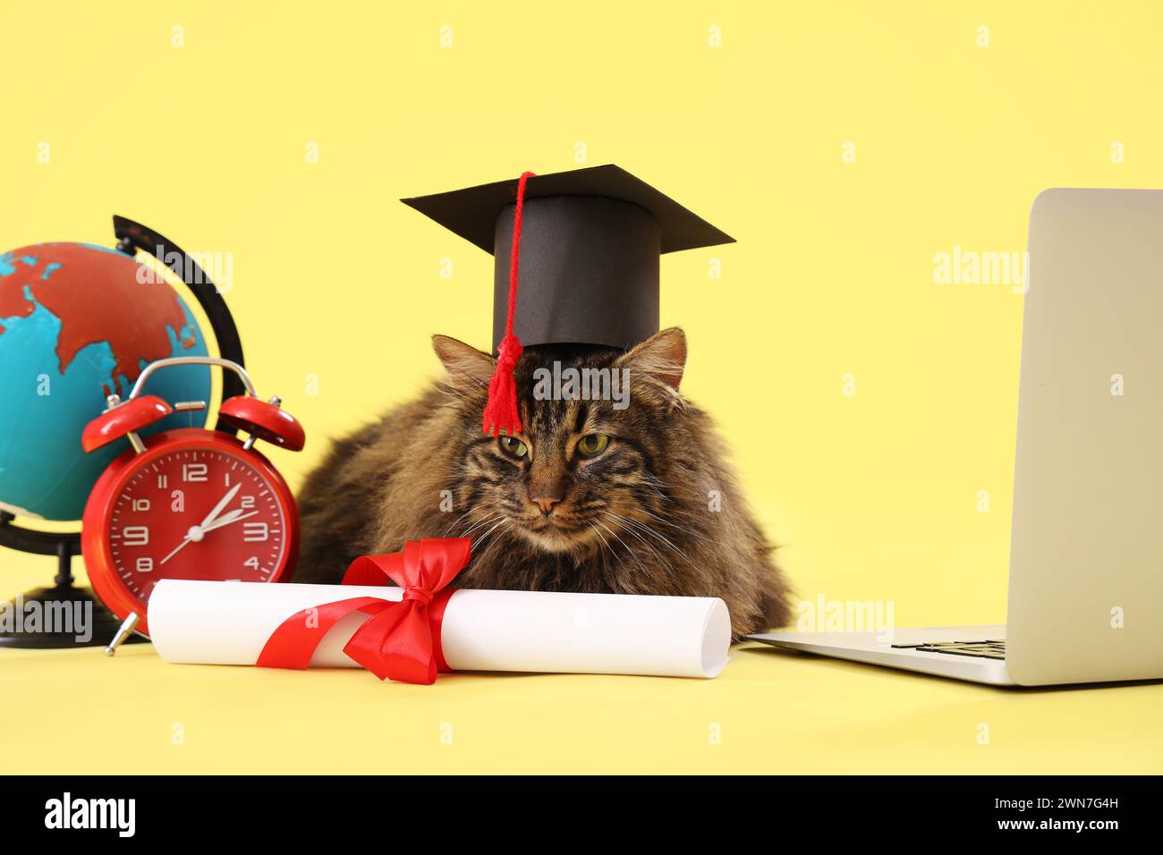 Cute cat with graduation hat, diploma, clock, globe and laptop on ...