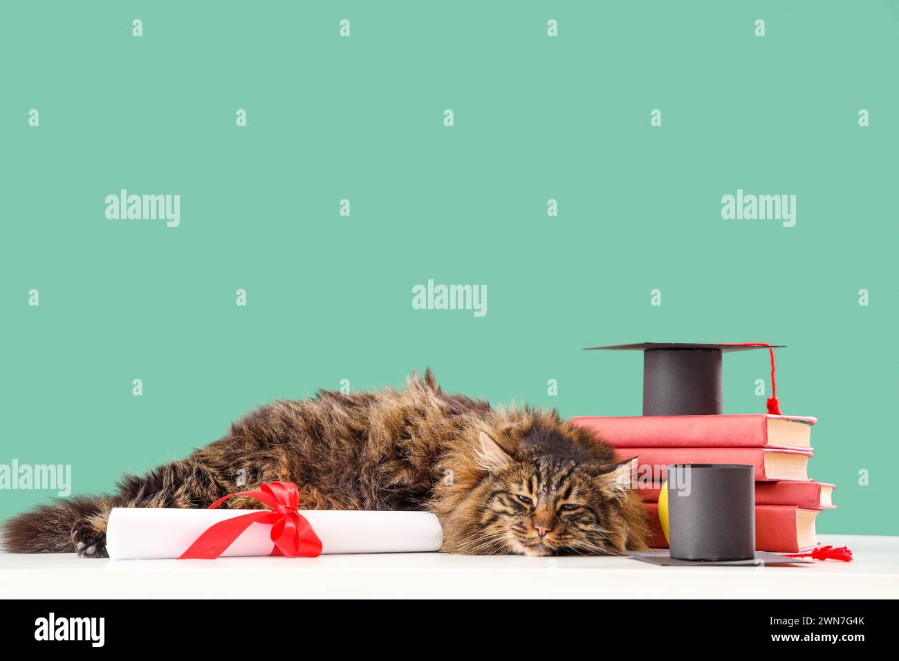 Cute cat with graduation hats, books and diploma on table against green ...