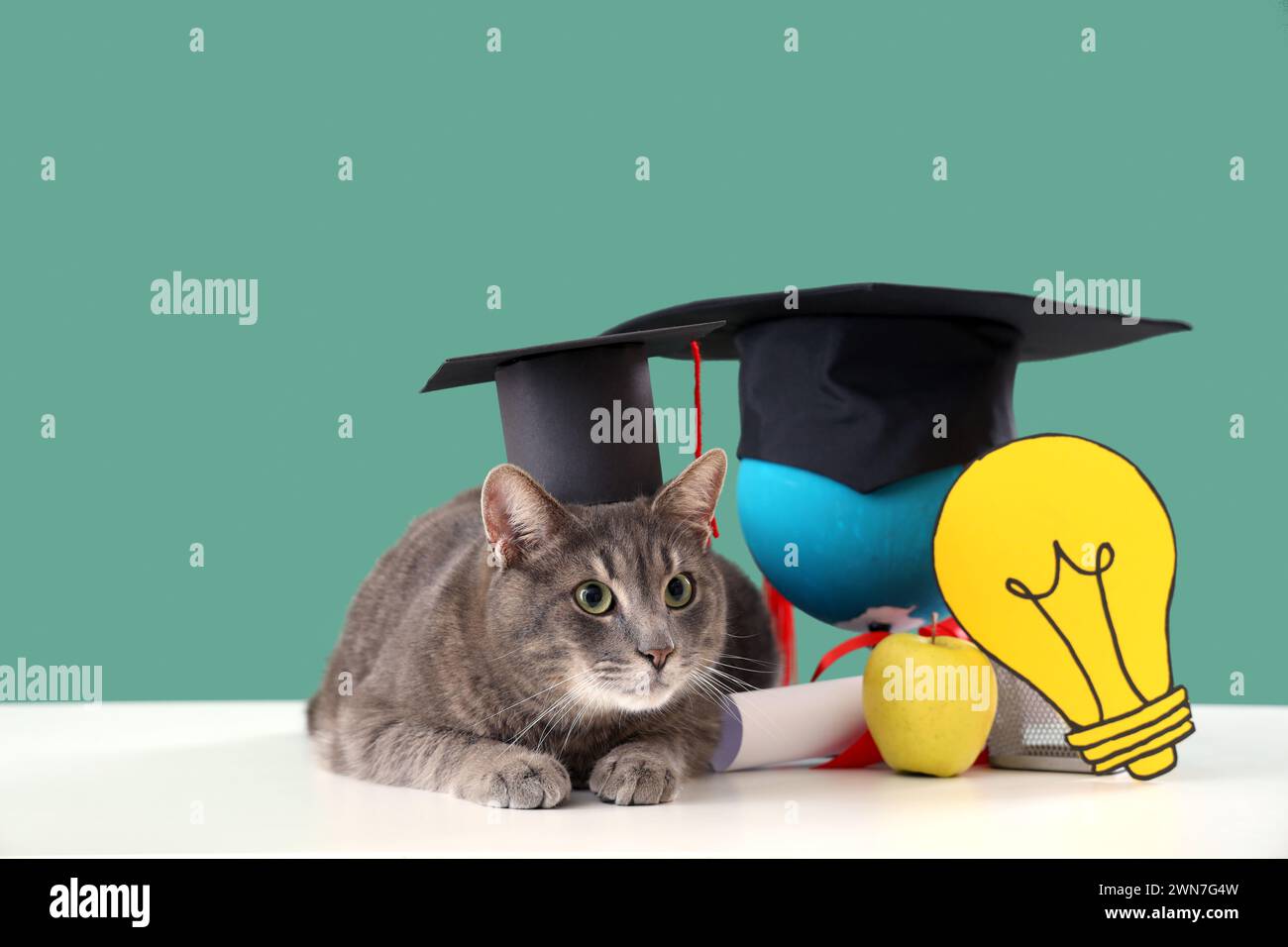 Cute cat with graduation hats, light bulb and apple on table against ...