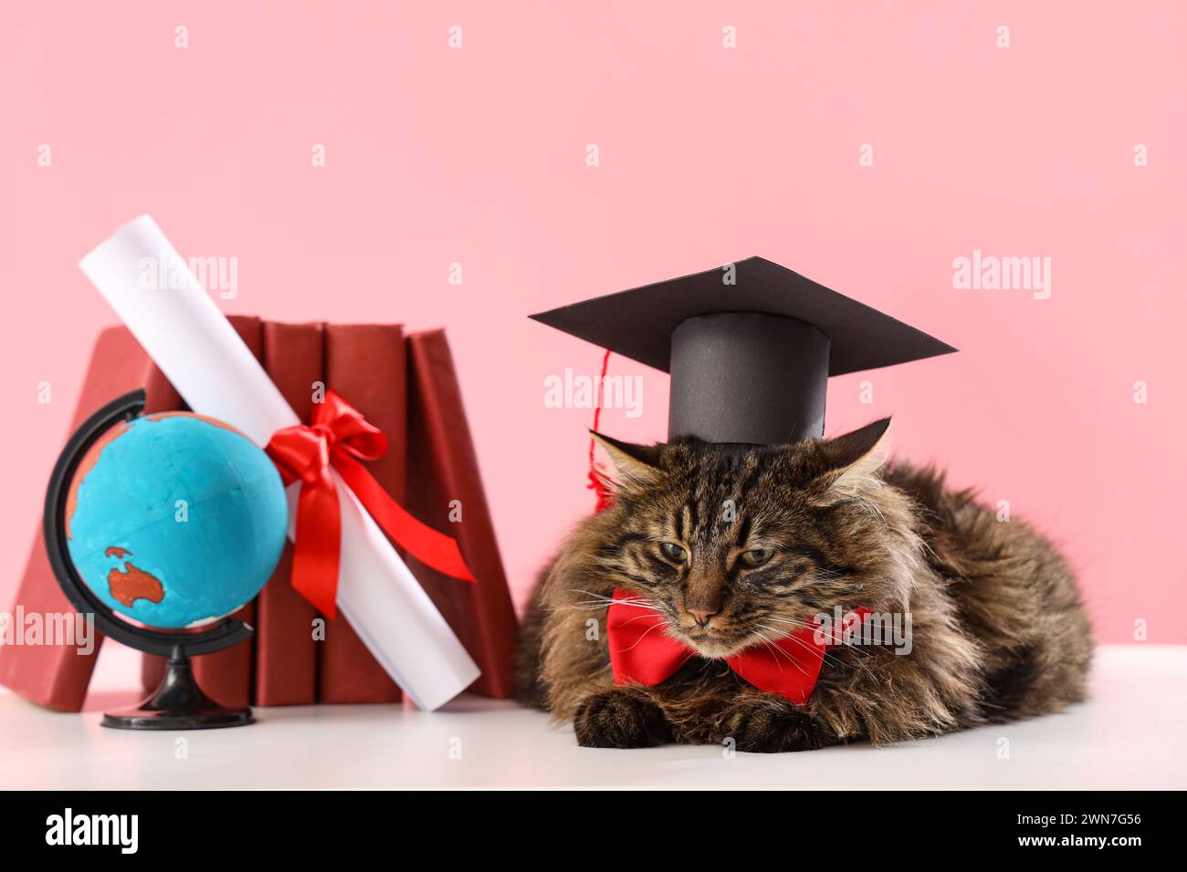 Cute cat with graduation hat, diploma, globe and books on table against ...
