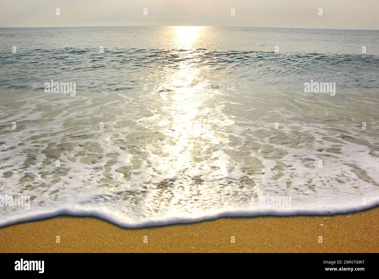 Weather impact on nature hi-res stock photography and images - Alamy