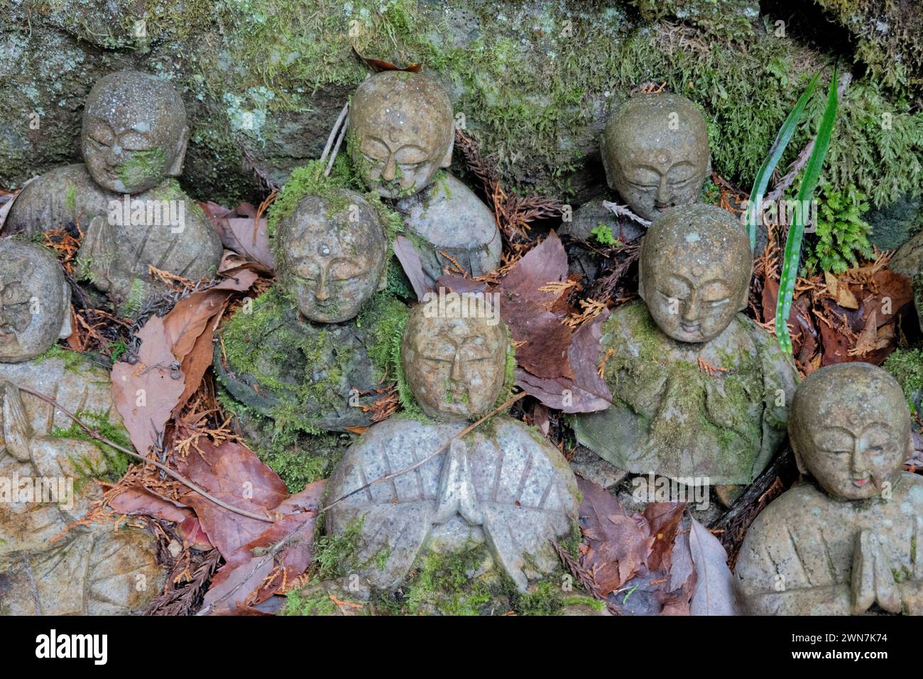 Jizo statues in the Okunoin Cemetery, Mount Koya (Koyasan), Wakayama ...