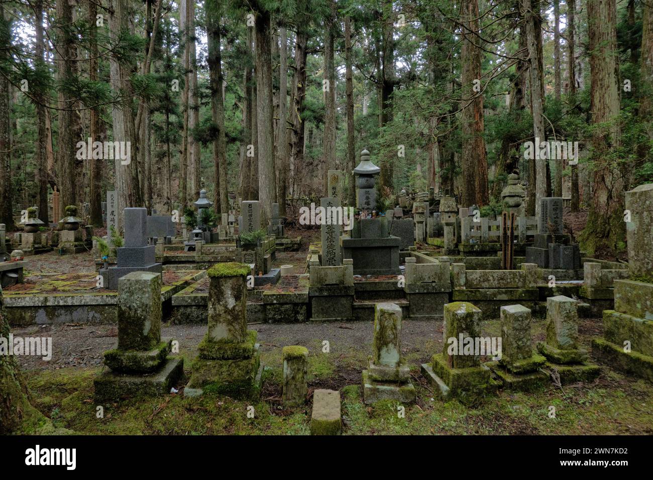 The moss covered atmospheric Okunoin Cemetery, Mount Koya (Koyasan ...