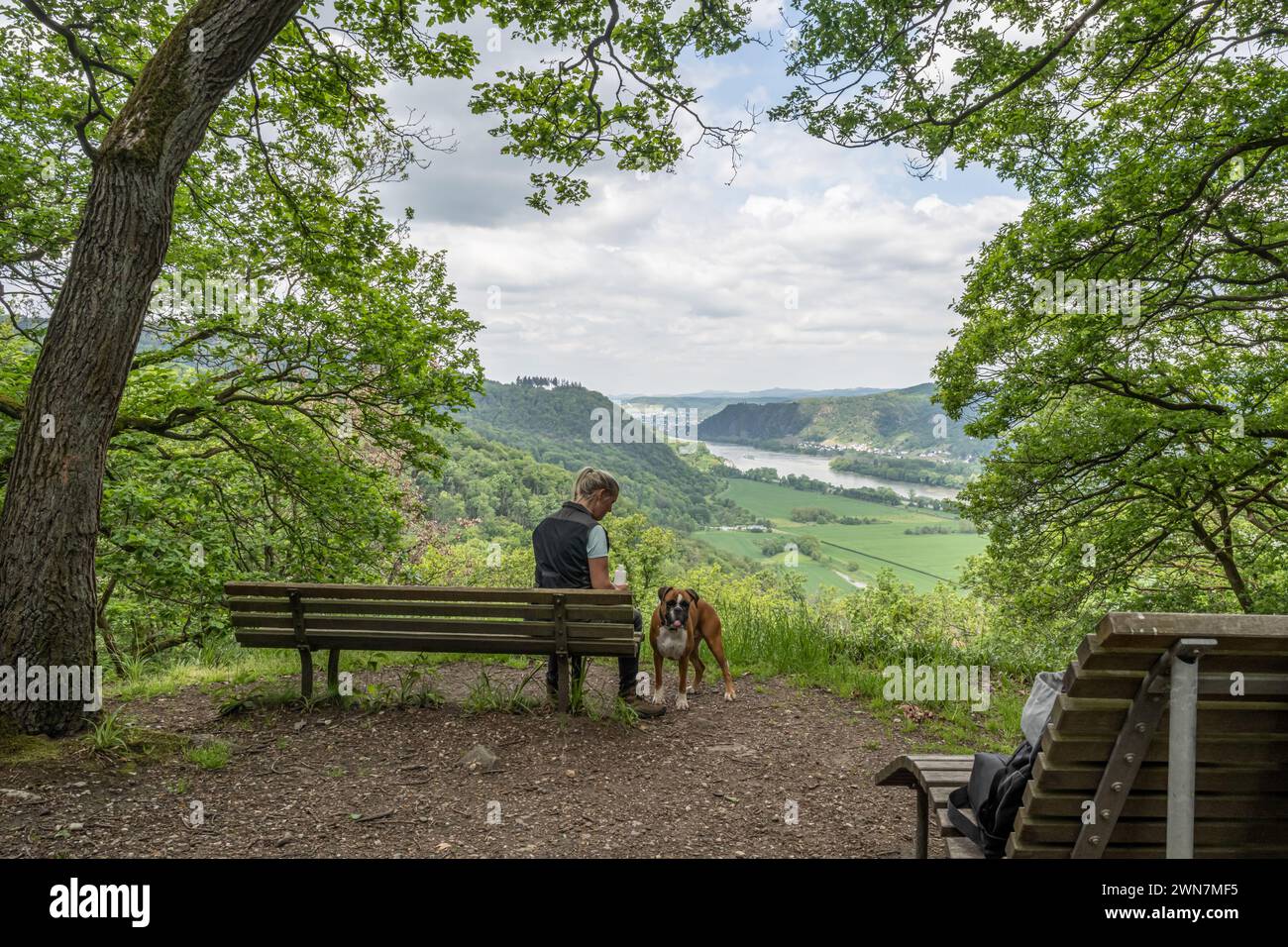 Girl sitting on tree shore hi-res stock photography and images - Alamy
