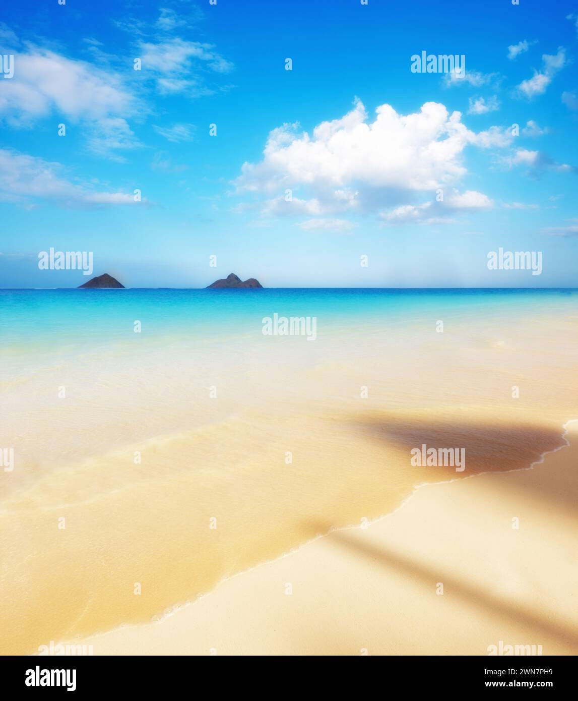 Tropical, beach with blue sky and ocean, landscape in nature and ...