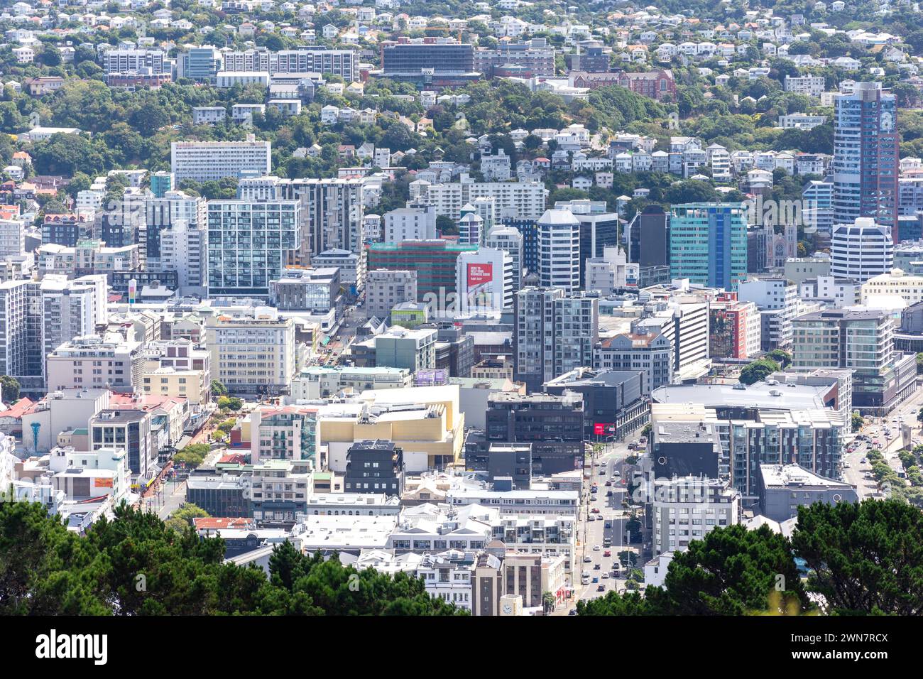 City centre from Mt Victoria Lookout, Te Aro, City of Wellington (Te ...