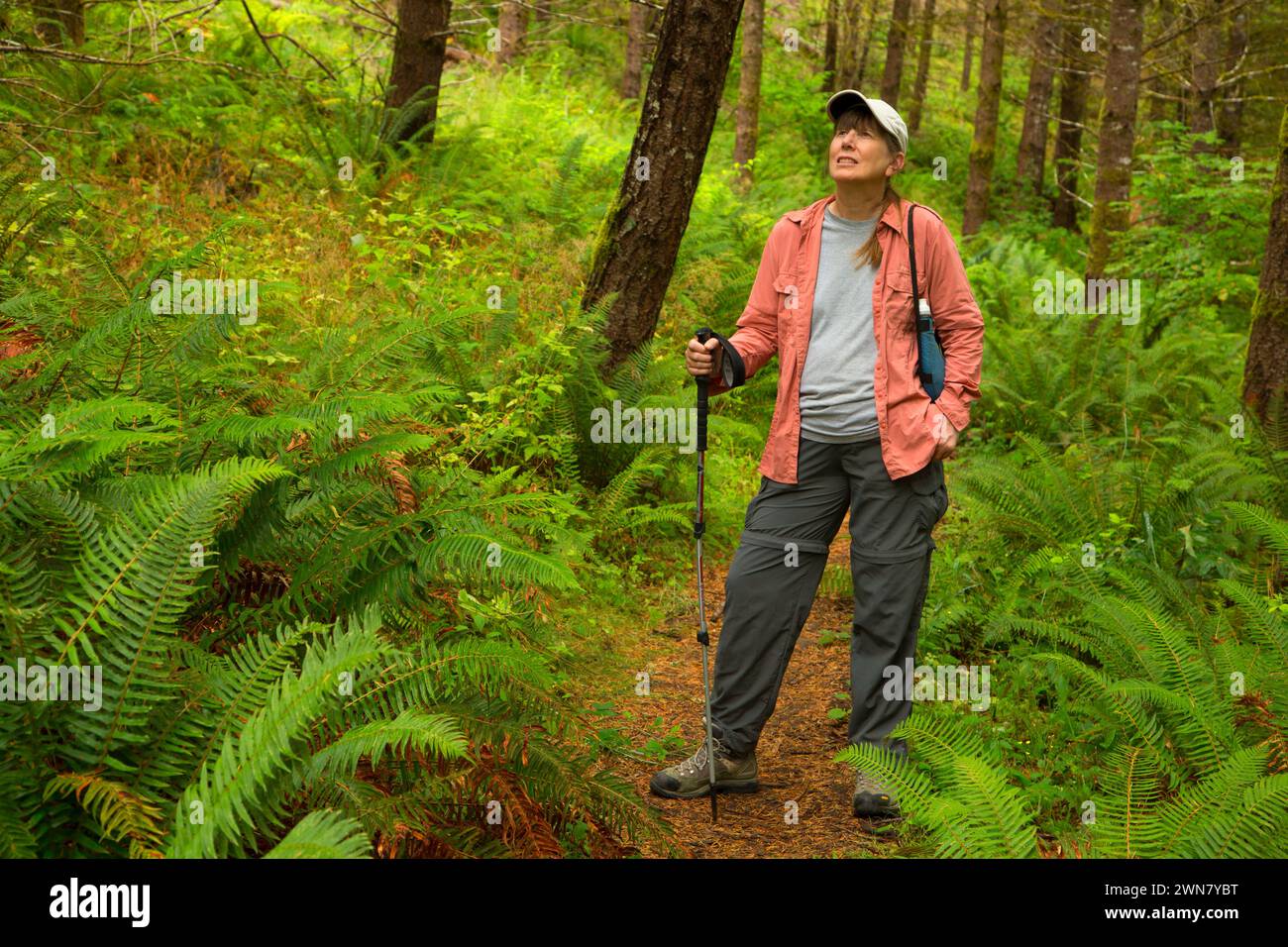 Hiker on Outer Loop Trail, Miller Woods Conservation Area, Yamhill ...