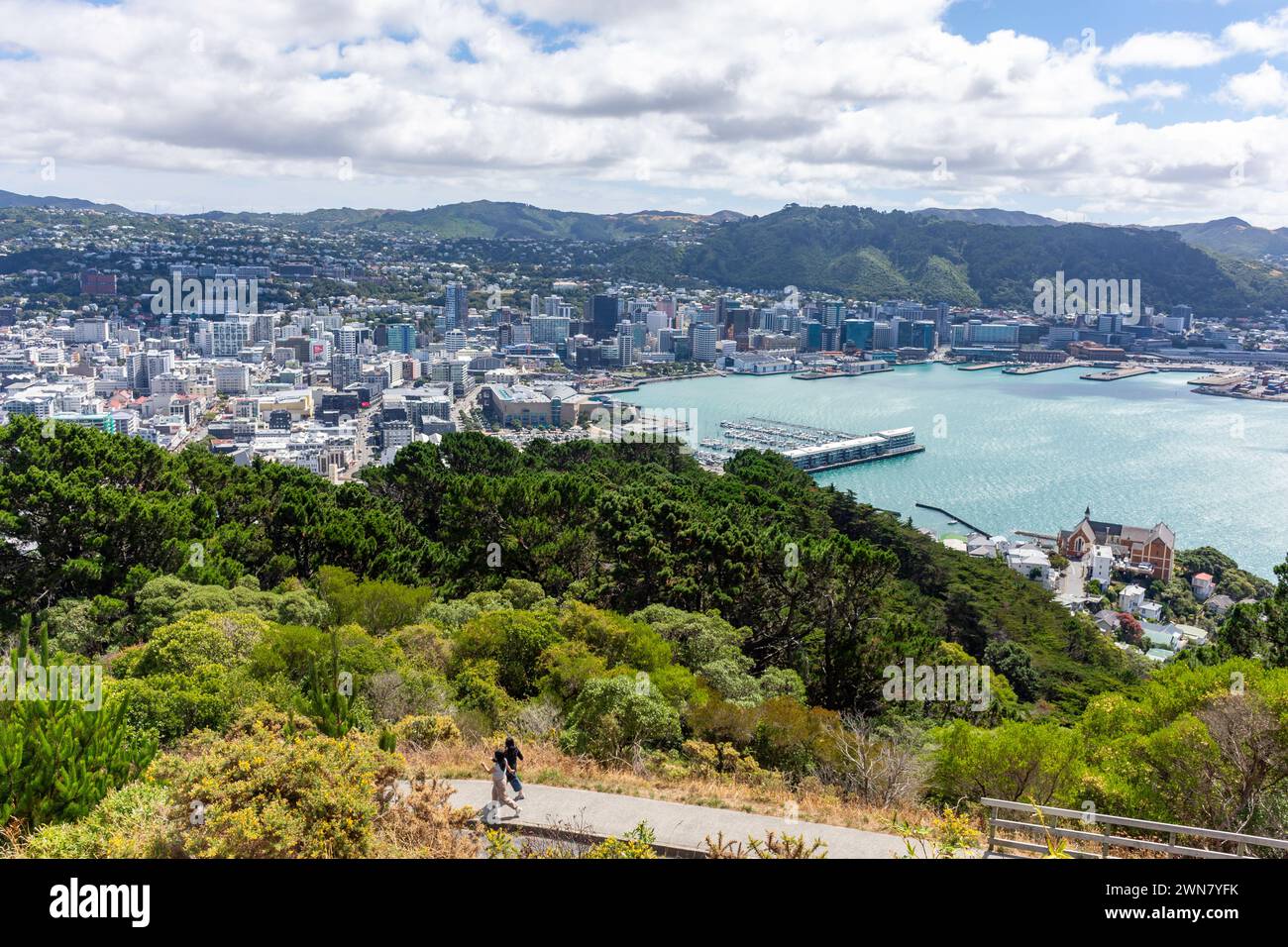 City and harbour view from Mt Victoria Lookout, City of Wellington (Te ...
