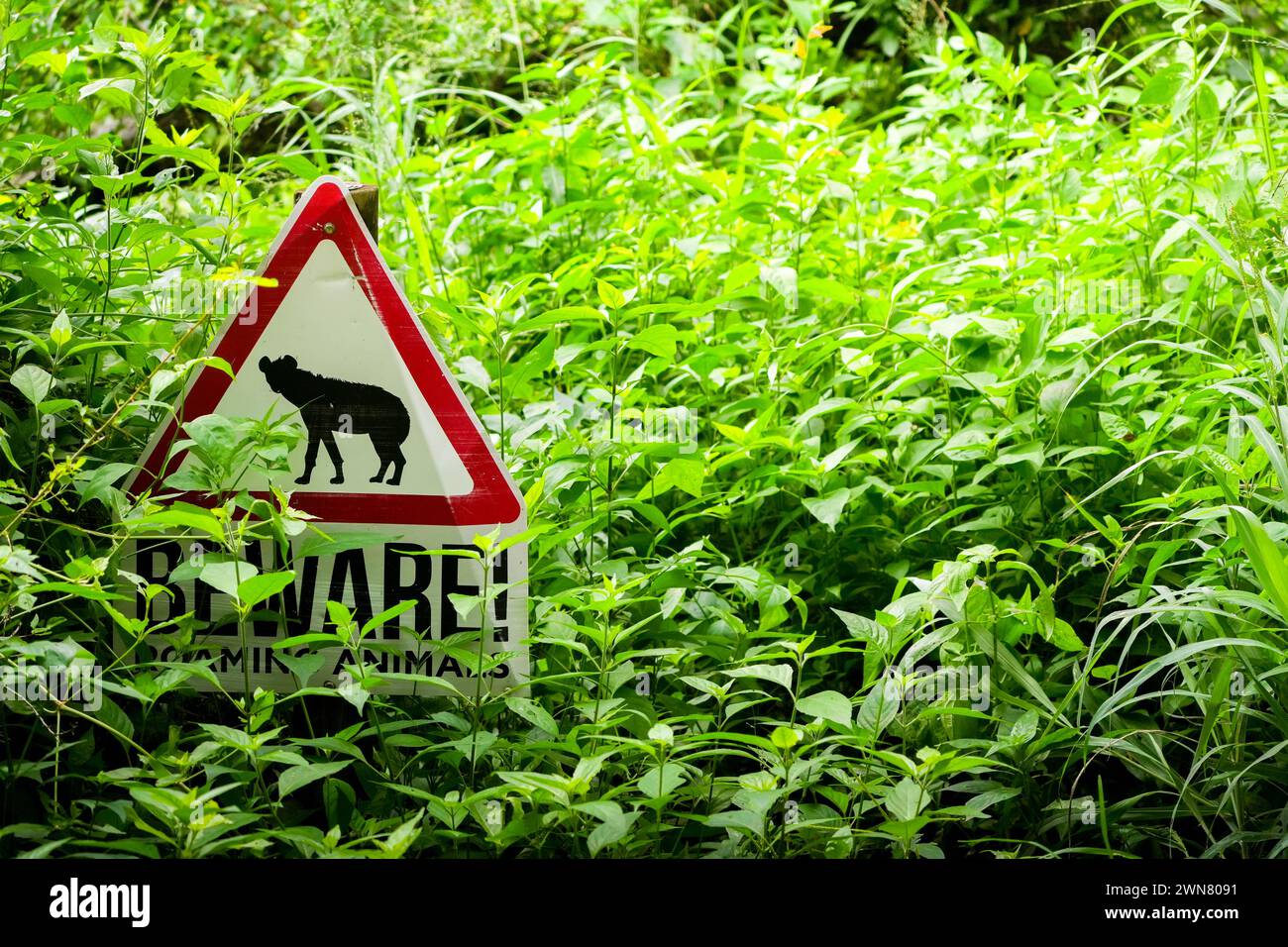 A weathered sign sits undisturbed in the green grass, its message ...