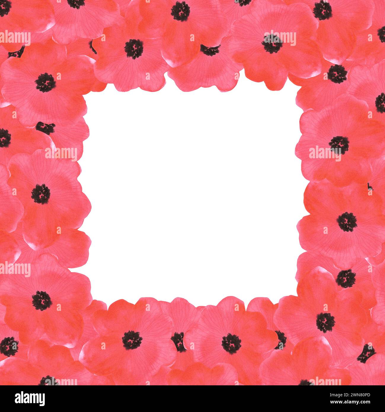 Hand drawn watercolor red poppy flowers frame border isolated on white ...