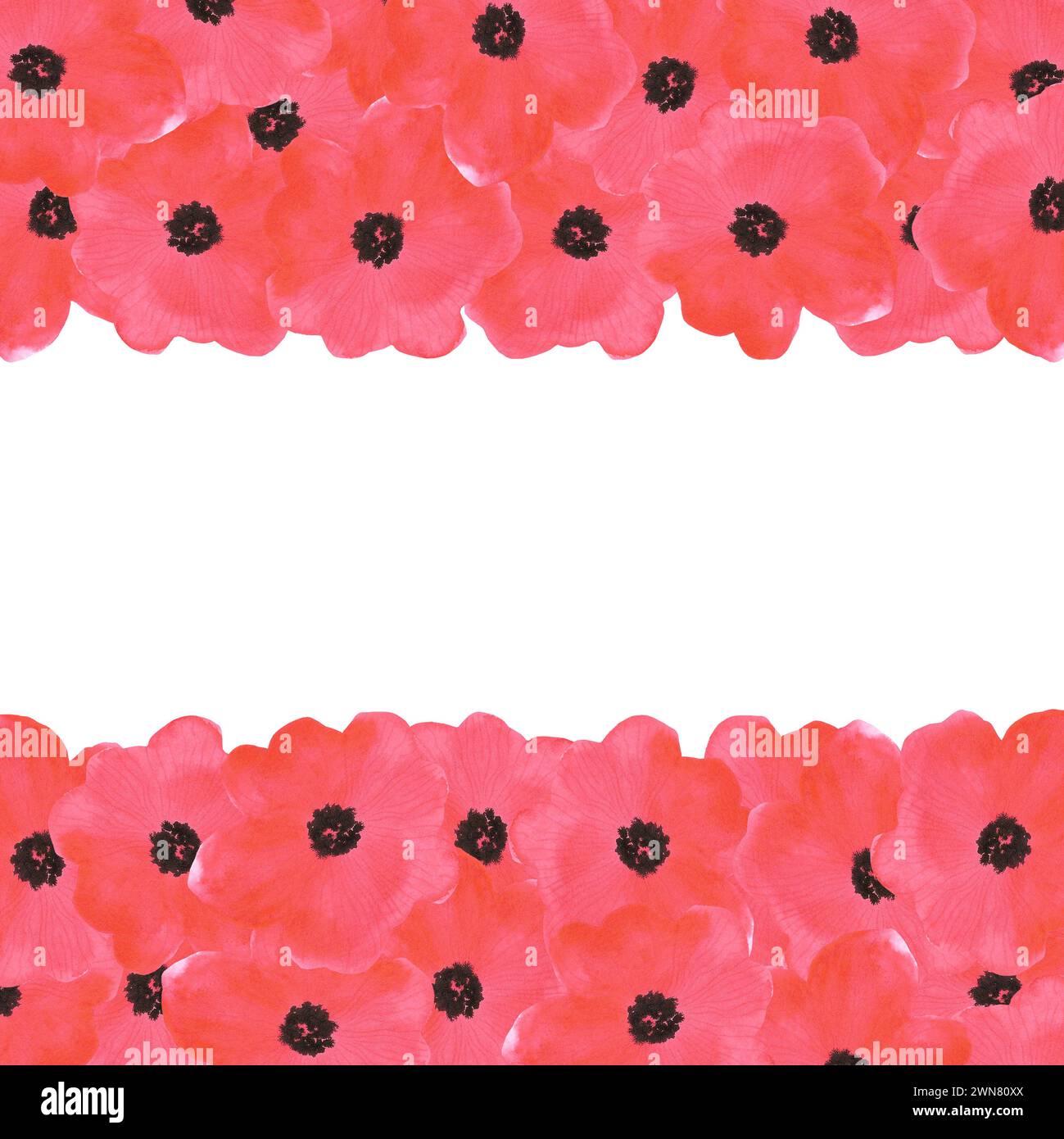 Hand drawn watercolor red poppy flowers frame border isolated on white ...