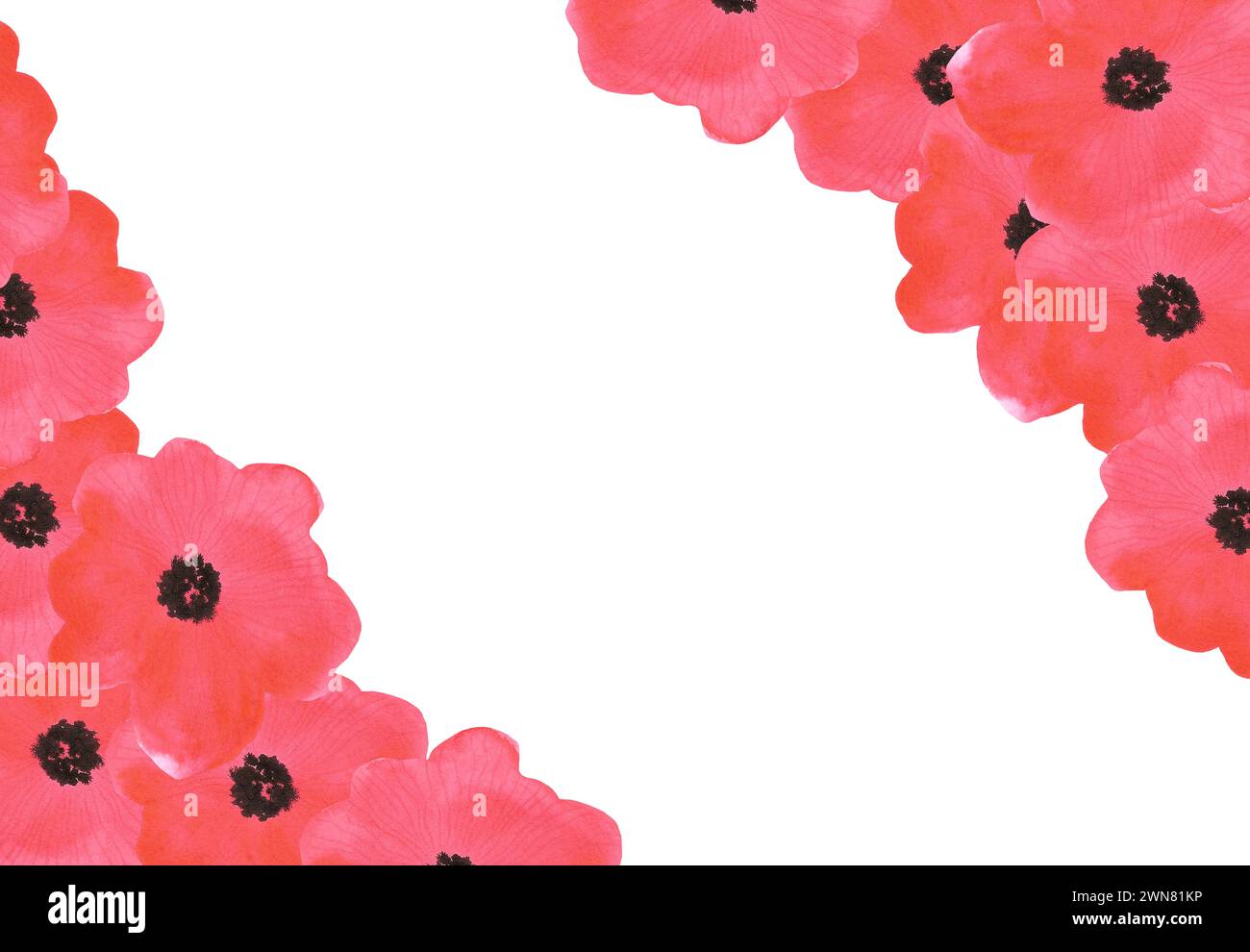 Hand drawn watercolor red poppy flowers frame border isolated on white ...