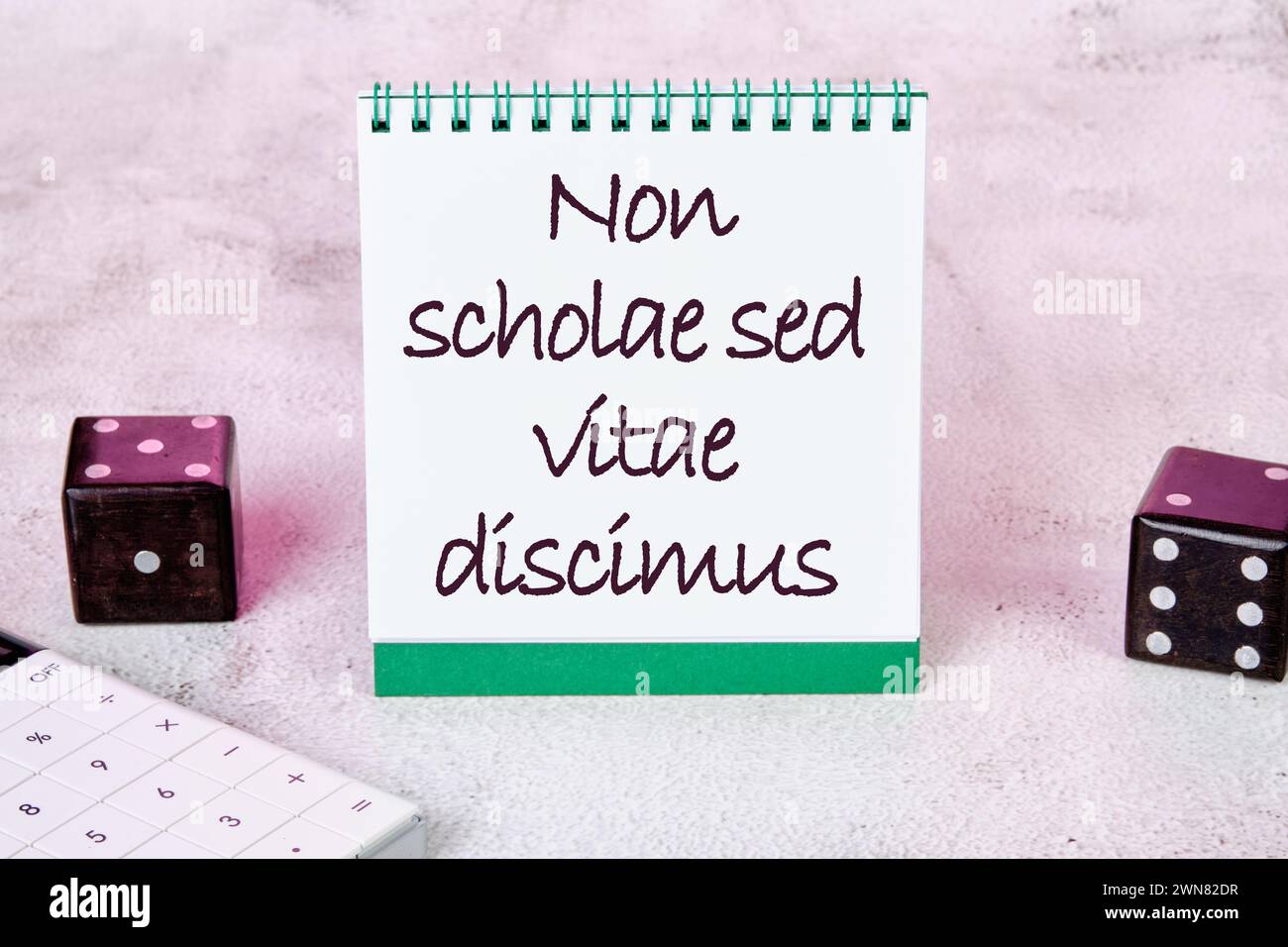 We study not for school It is translated from Latin as We study not for ...