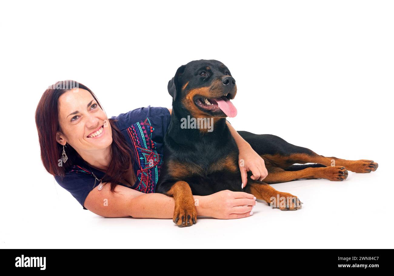 purebred rottweiler and woman in front of white background Stock Photo ...