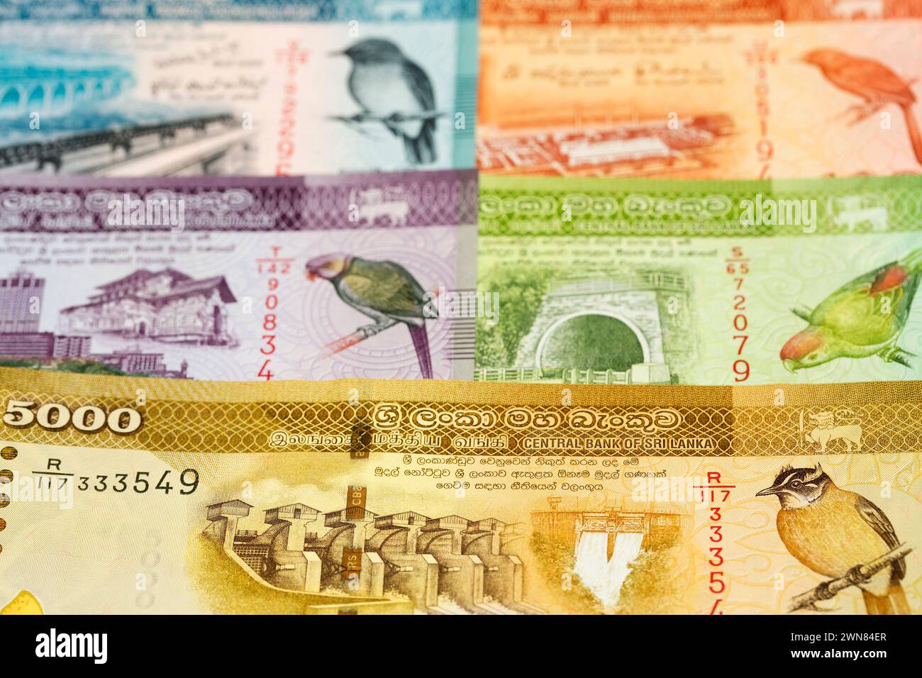 Sri Lankan money - rupee a business background Stock Photo - Alamy