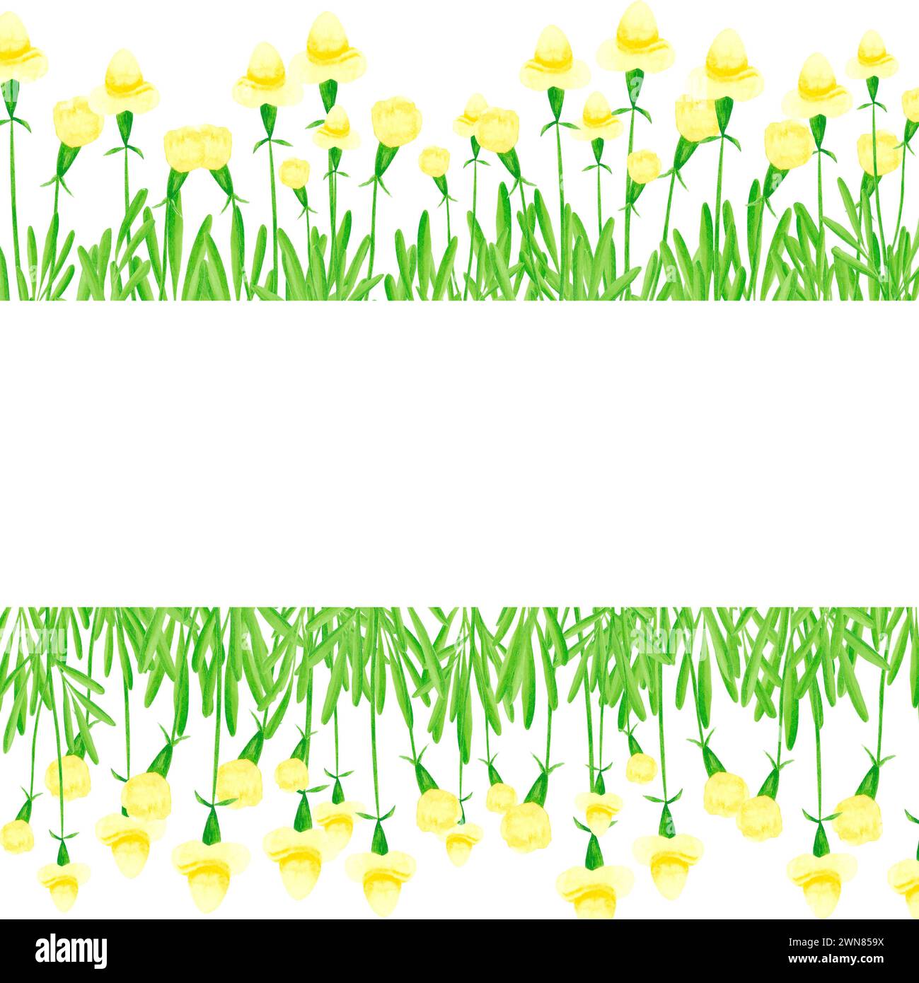 Hand drawn watercolor yellow wildflowers frame border isolated on white ...