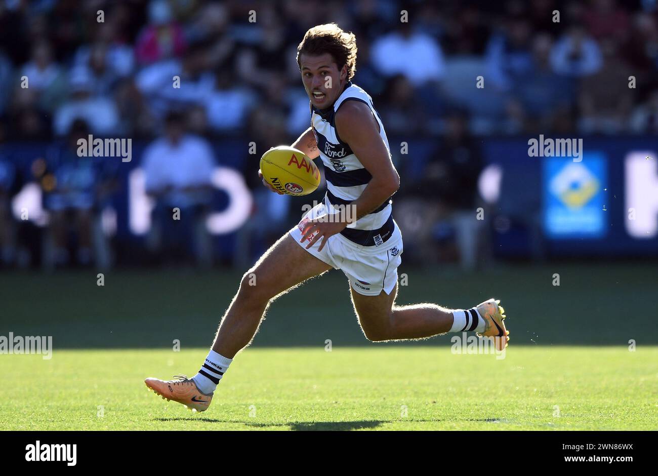 Geelong, Australia. 01st Mar, 2024. Jhye Clark of the Cats is seen in ...