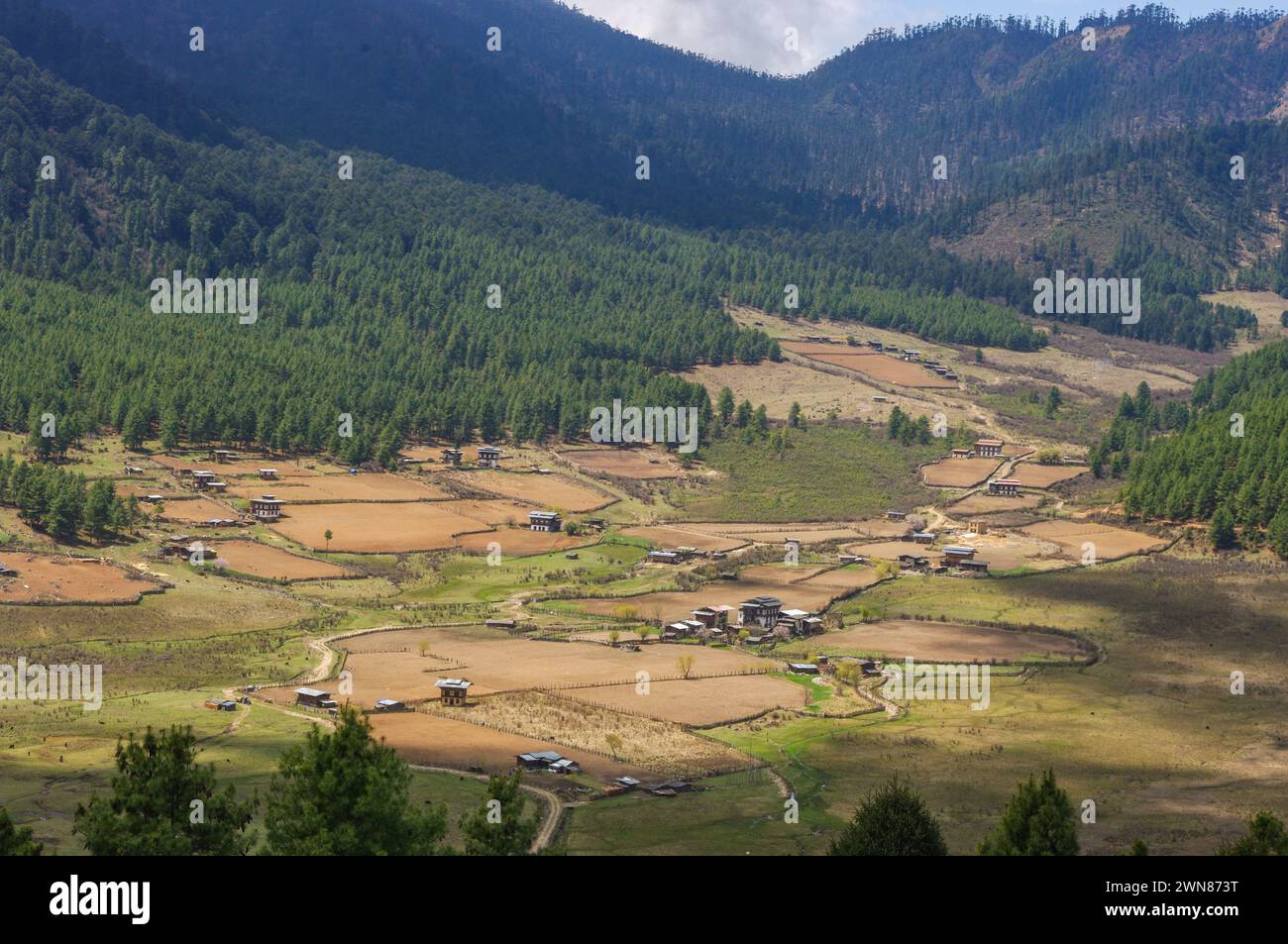 Scenic landscape view of the beautiful rural high Phobjikha valley in ...
