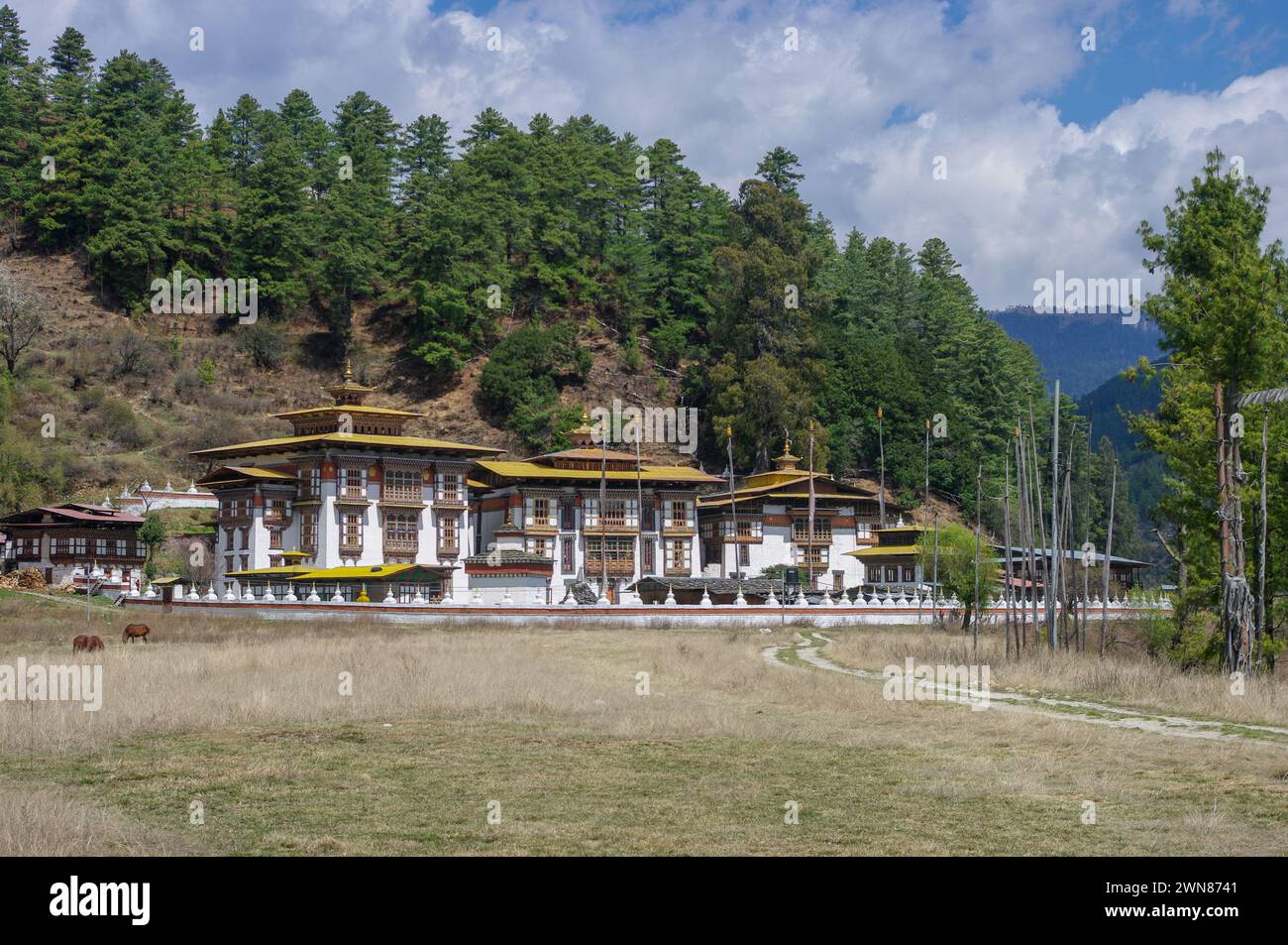 Bhutan landscape scenery hi-res stock photography and images - Alamy