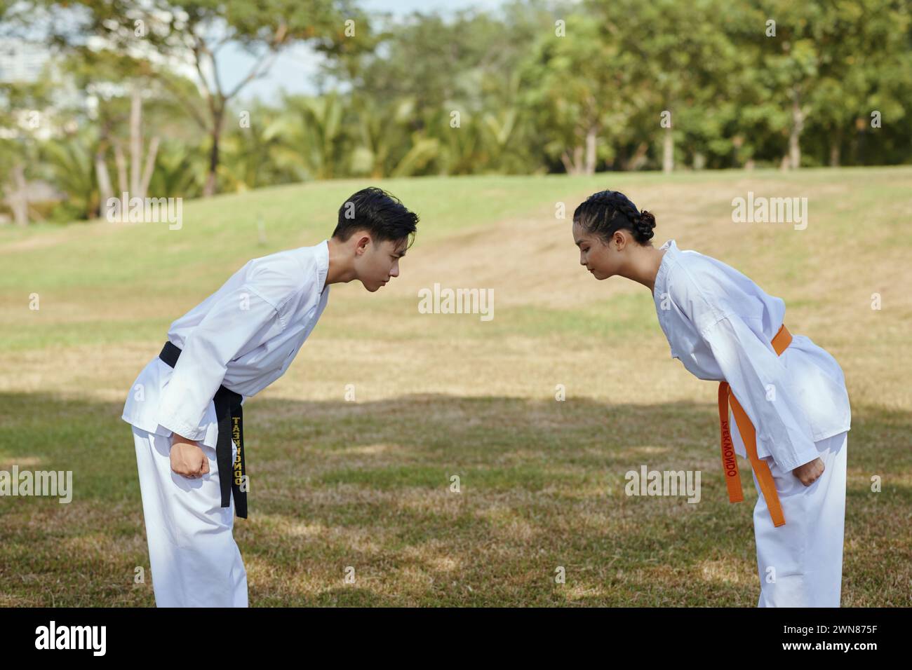 Taekwondo athletes bowing each other before start fighting Stock Photo ...