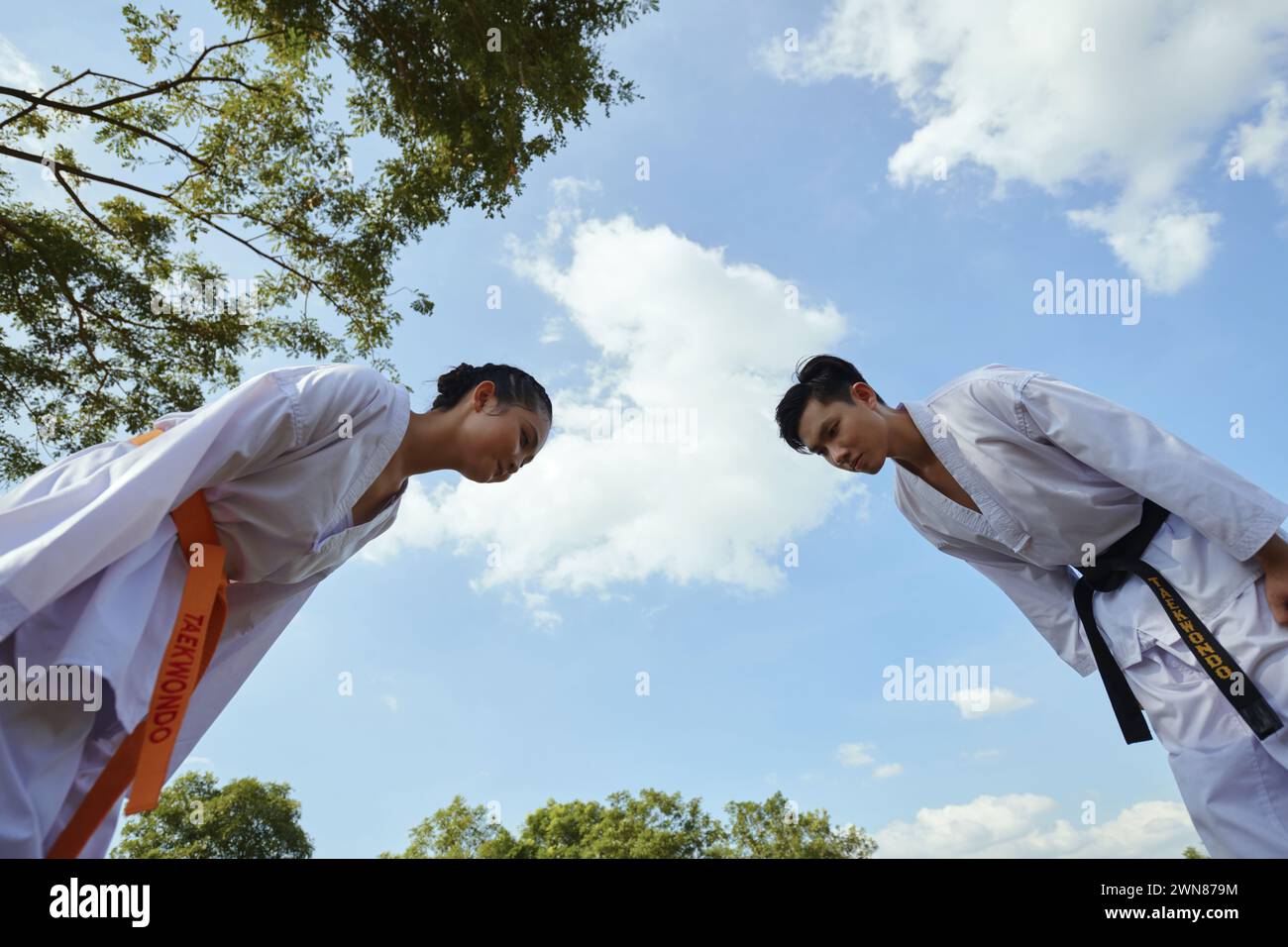 Taekwondo athletes doing slow bow to express respect, view from below ...