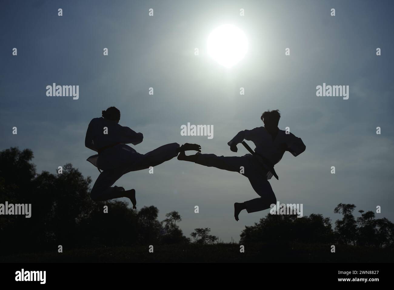 Silhouettes of taekwondo athletes doing jump kick Stock Photo - Alamy