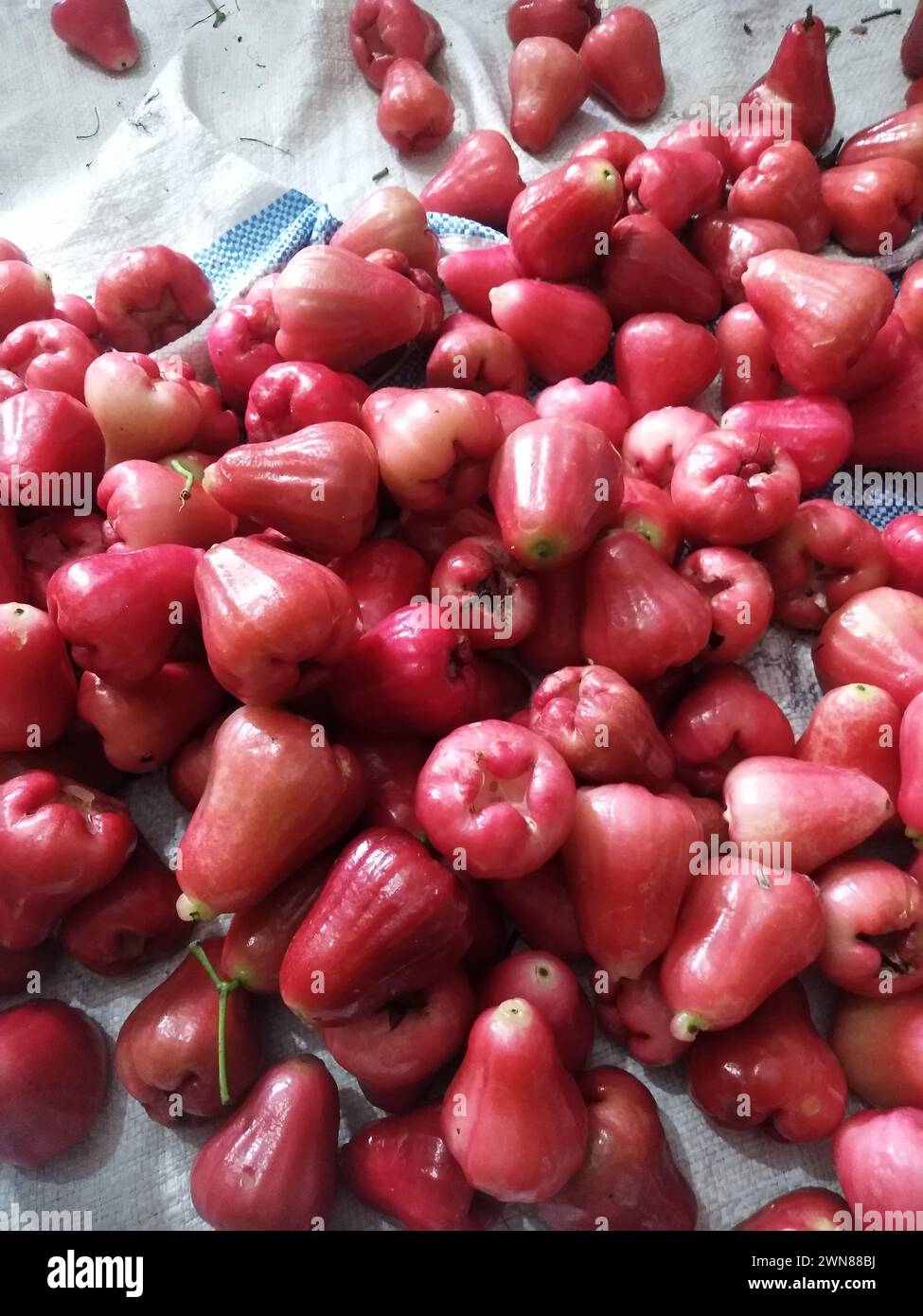 Cherry guava hi-res stock photography and images - Alamy