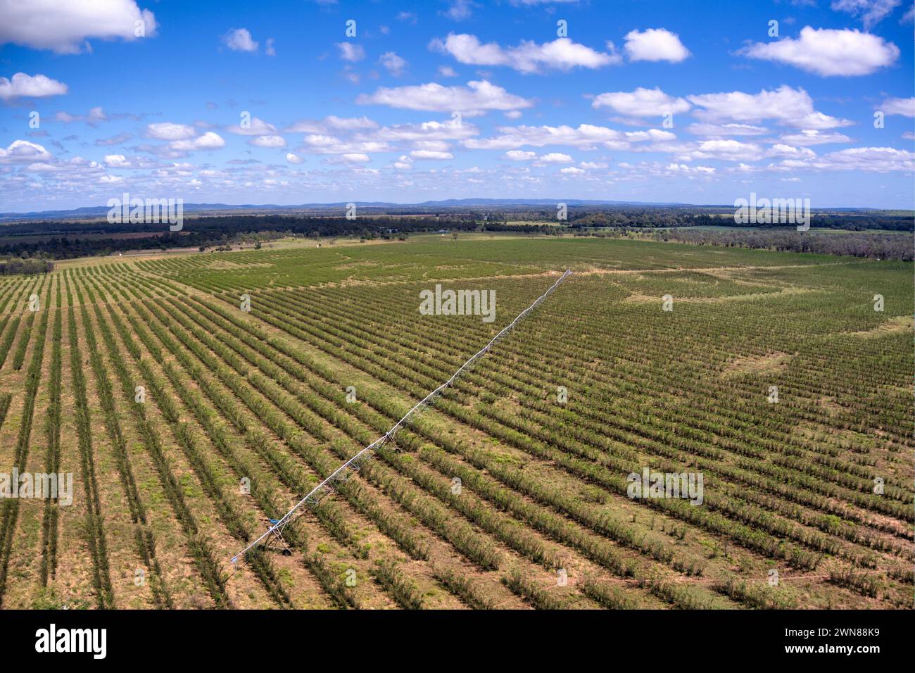 Aerial view of a vast agricultural field with rows of crops under a ...