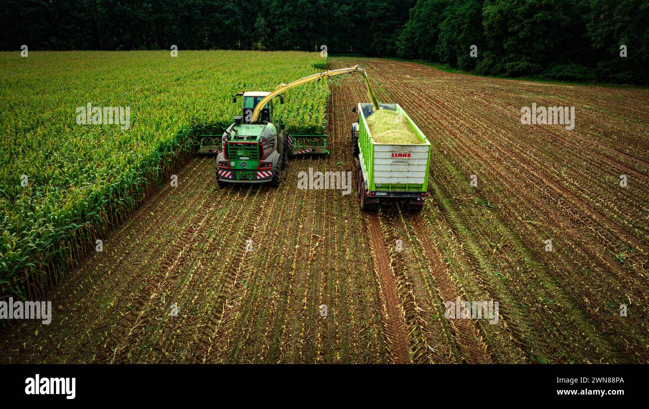 Two combines harvesting different crops on a farm Stock Photo - Alamy