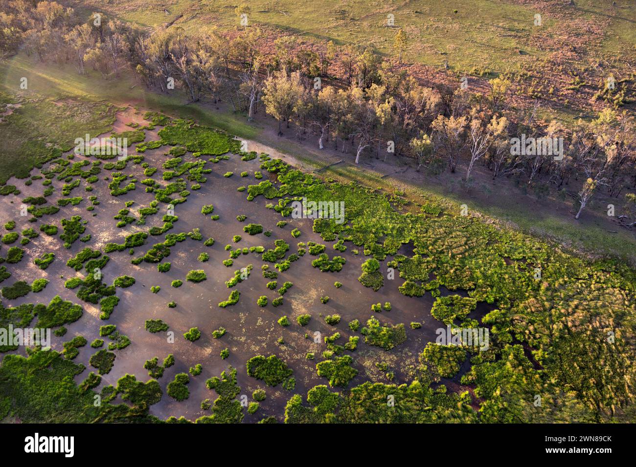 Aerial view of Chain Lagoons on Palm Tree Creek near Taroom Queensland ...