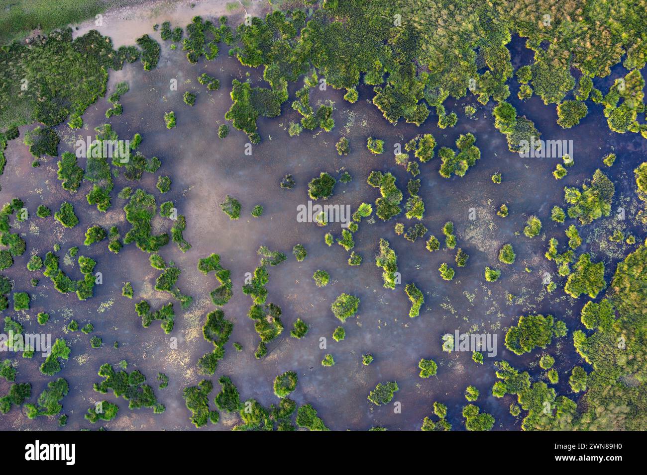 Aerial view of Chain Lagoons on Palm Tree Creek near Taroom Queensland ...