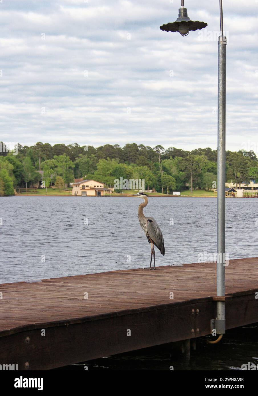 Tyler lake hi-res stock photography and images - Alamy