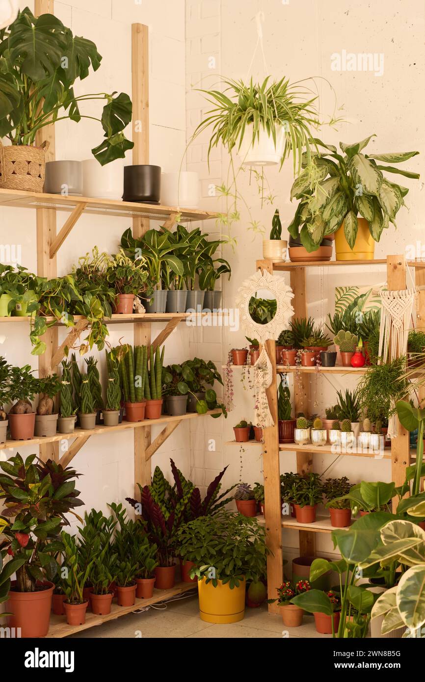 Vertical no people shot of biophilic interior of modern plant shop with ...