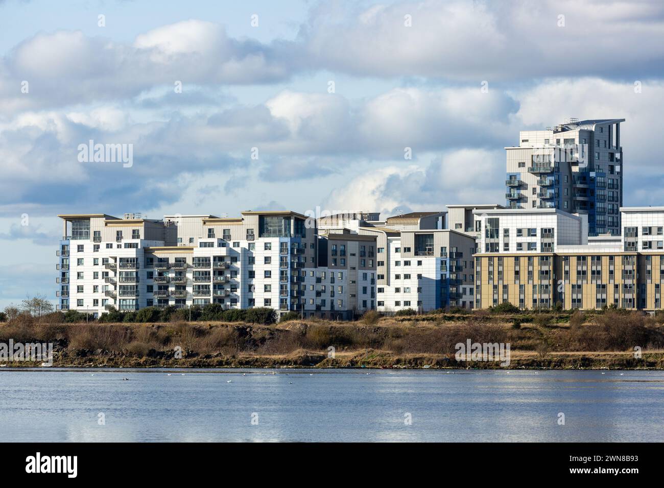 Western harbour Drive development in Leith, Scotland Stock Photo - Alamy