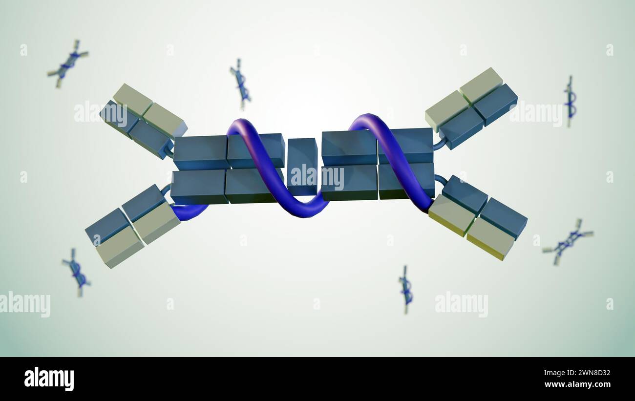 3d rendering of immunoglobulin A or IgA with secretory element as known ...