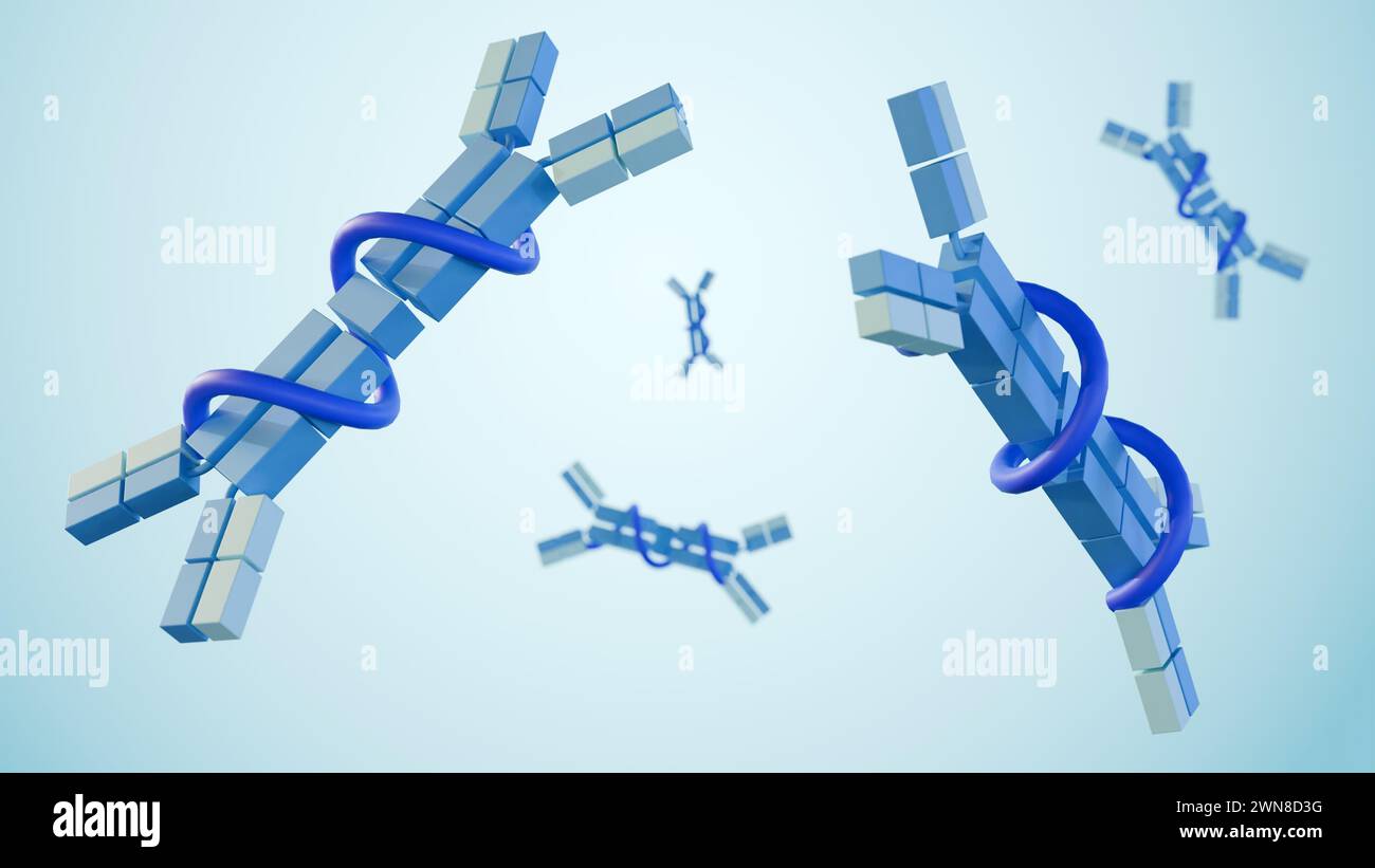 3d rendering of immunoglobulin A or IgA with secretory element as known ...