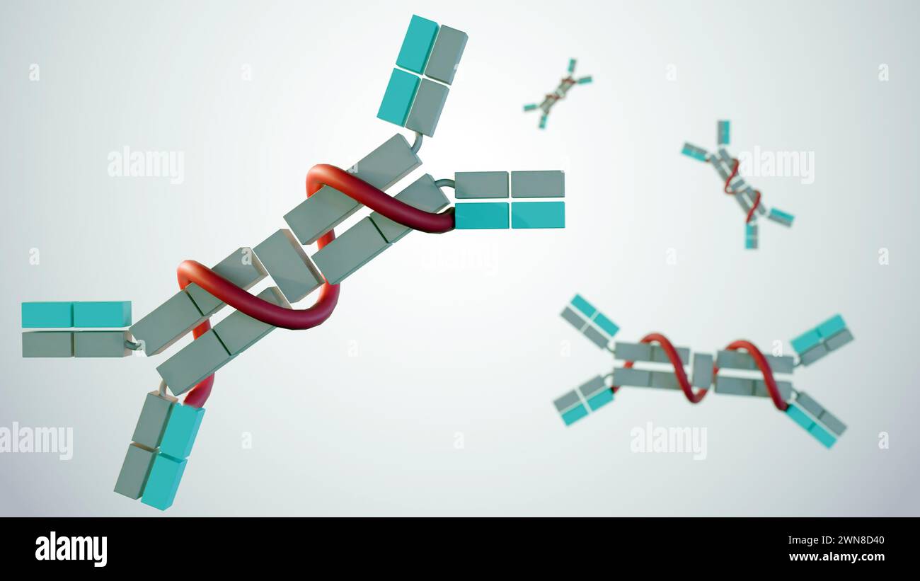 3d rendering of immunoglobulin A or IgA with secretory element as known ...