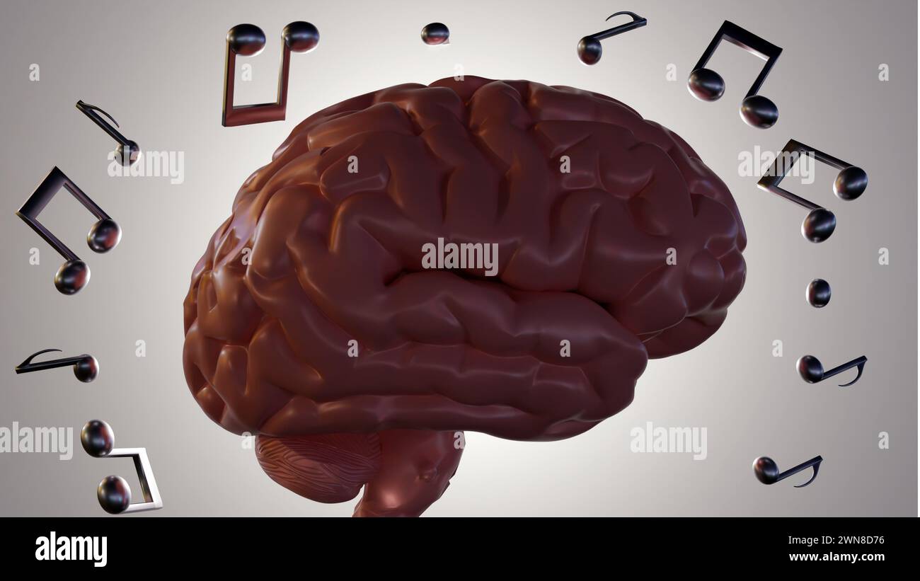 3d rendering of musical notes and a human brain Stock Photo - Alamy