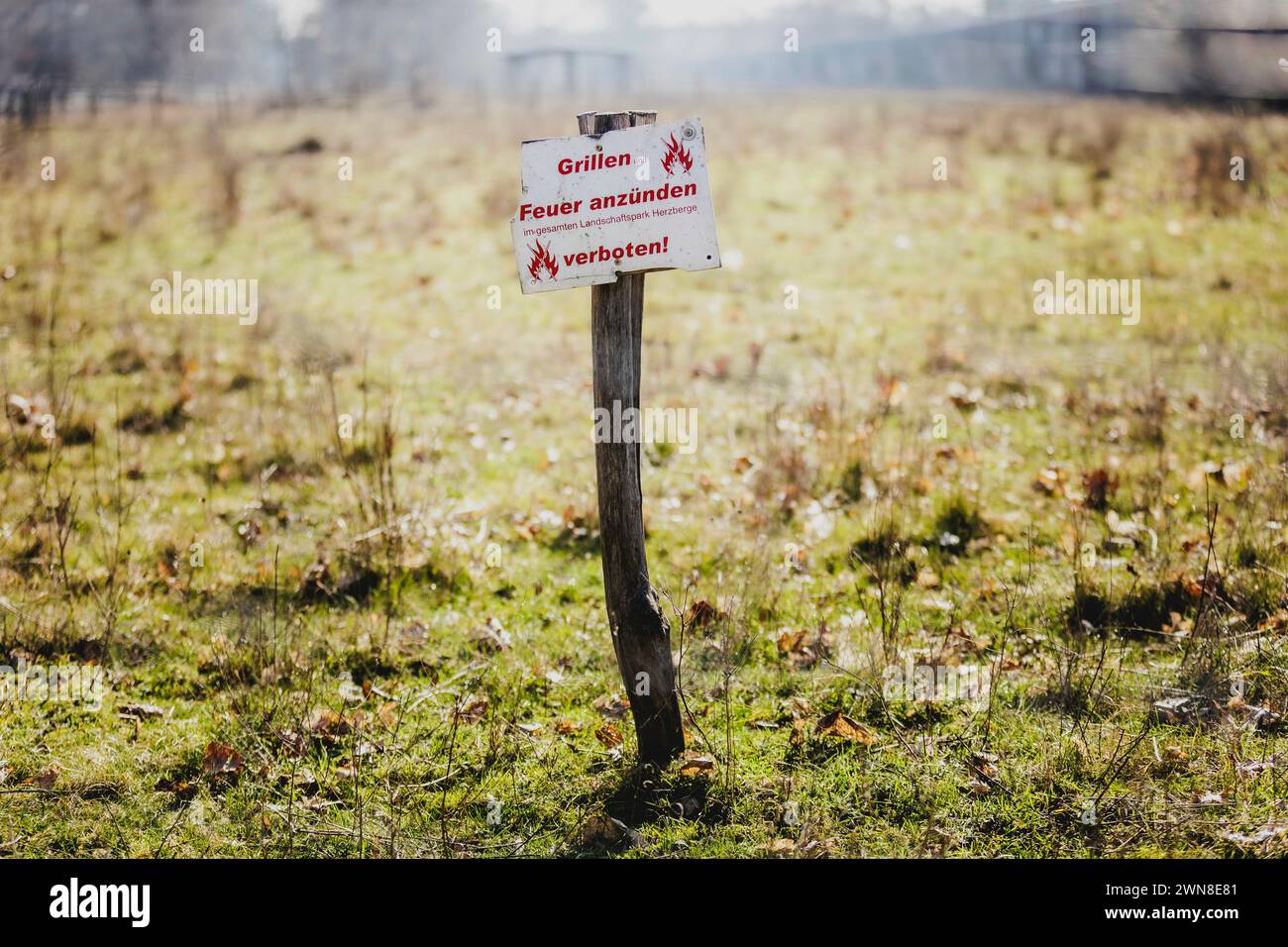 Symbol photo symbol image symbol picture symbol image lettering let hi ...