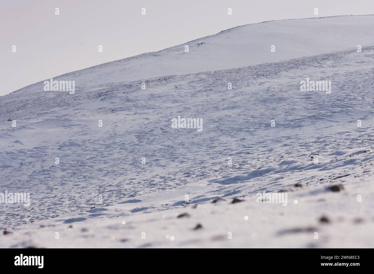 Cape Lisburne open lead due to currents and windclose to shore near ...