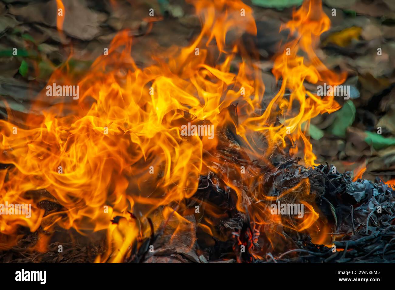 Slow motion flame fire burning garbage waste Stock Photo - Alamy