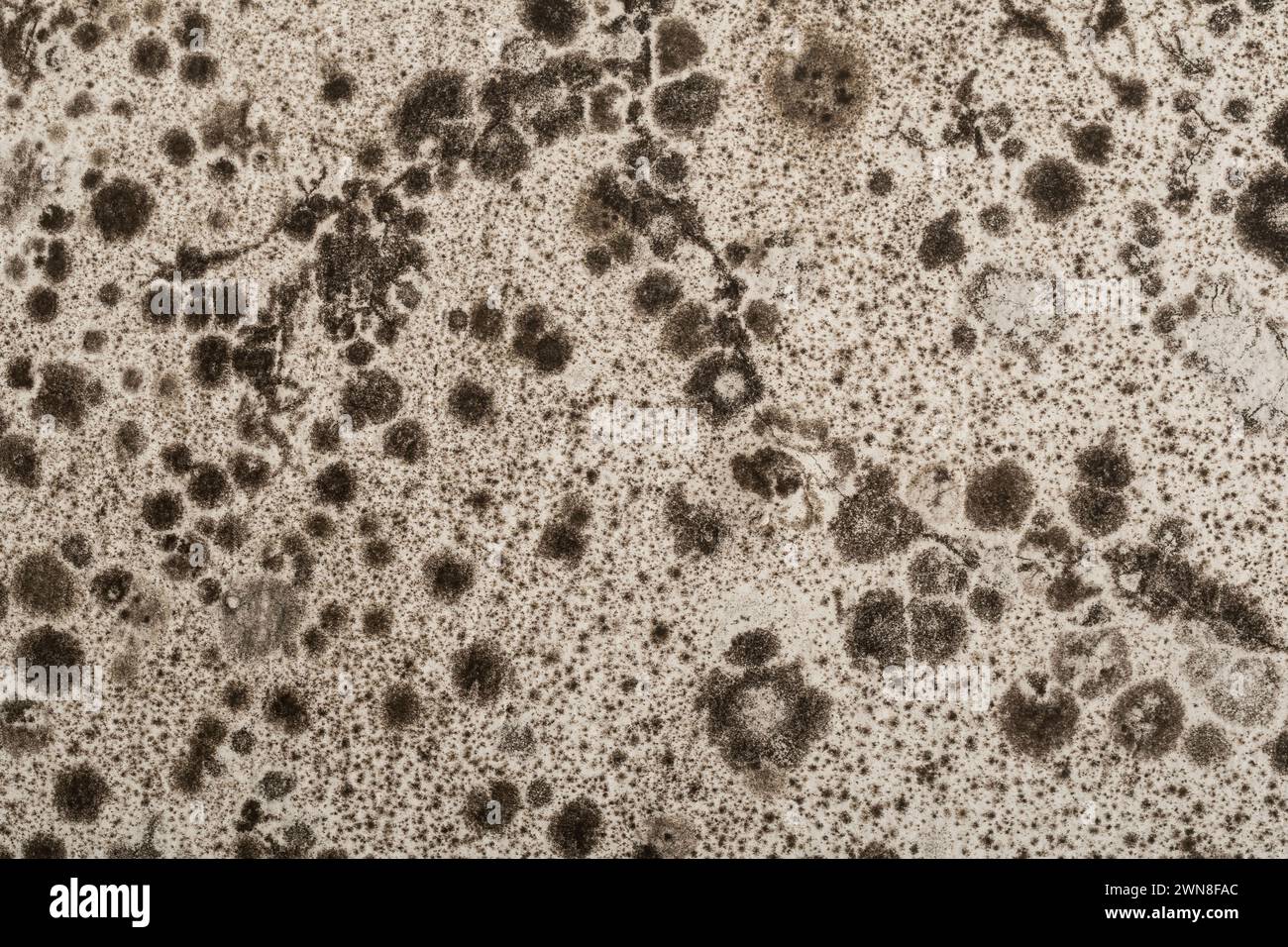 Black mold condensation hi-res stock photography and images - Alamy