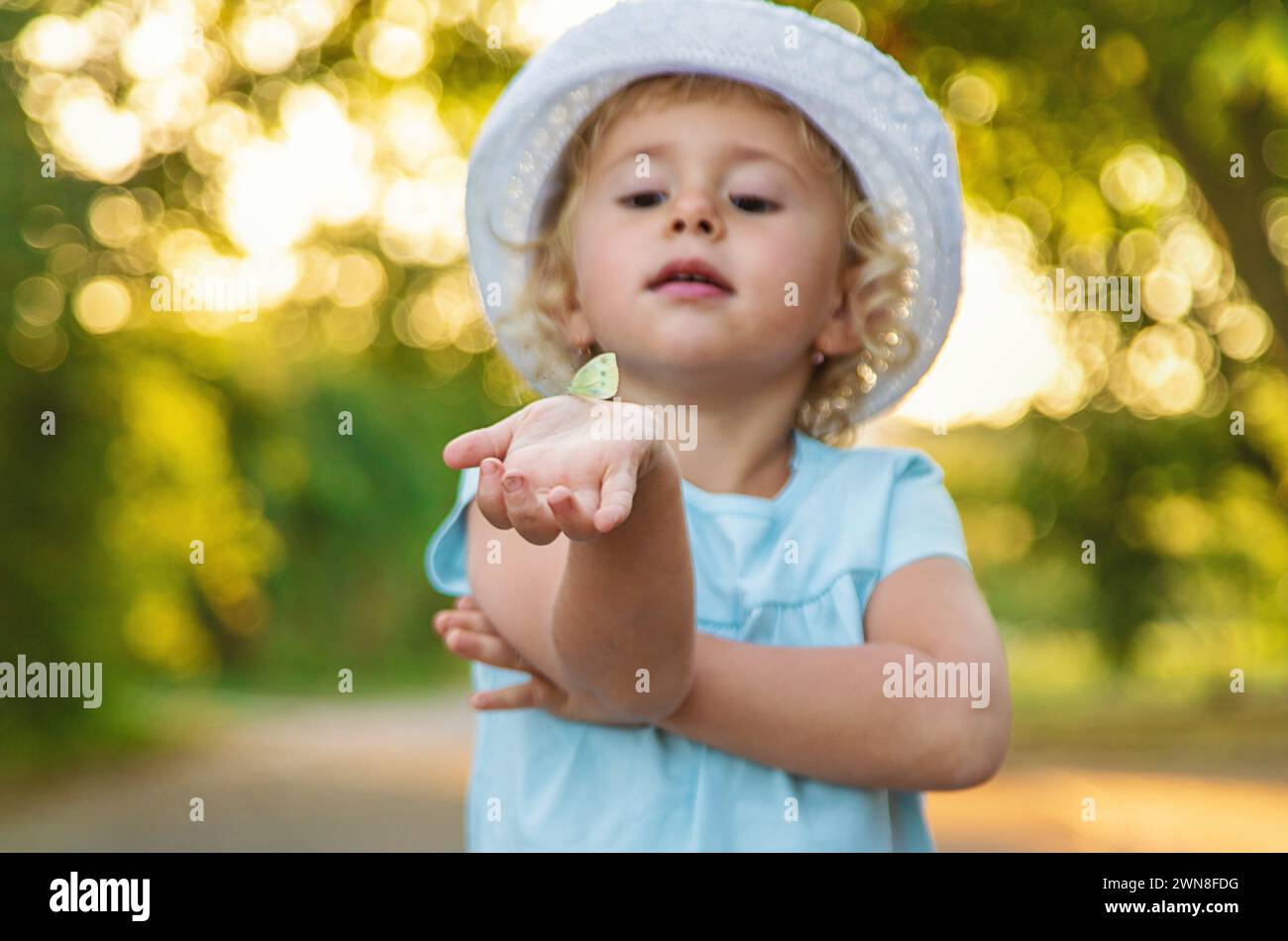 A child catches a butterfly in nature. Selective focus Stock Photo - Alamy