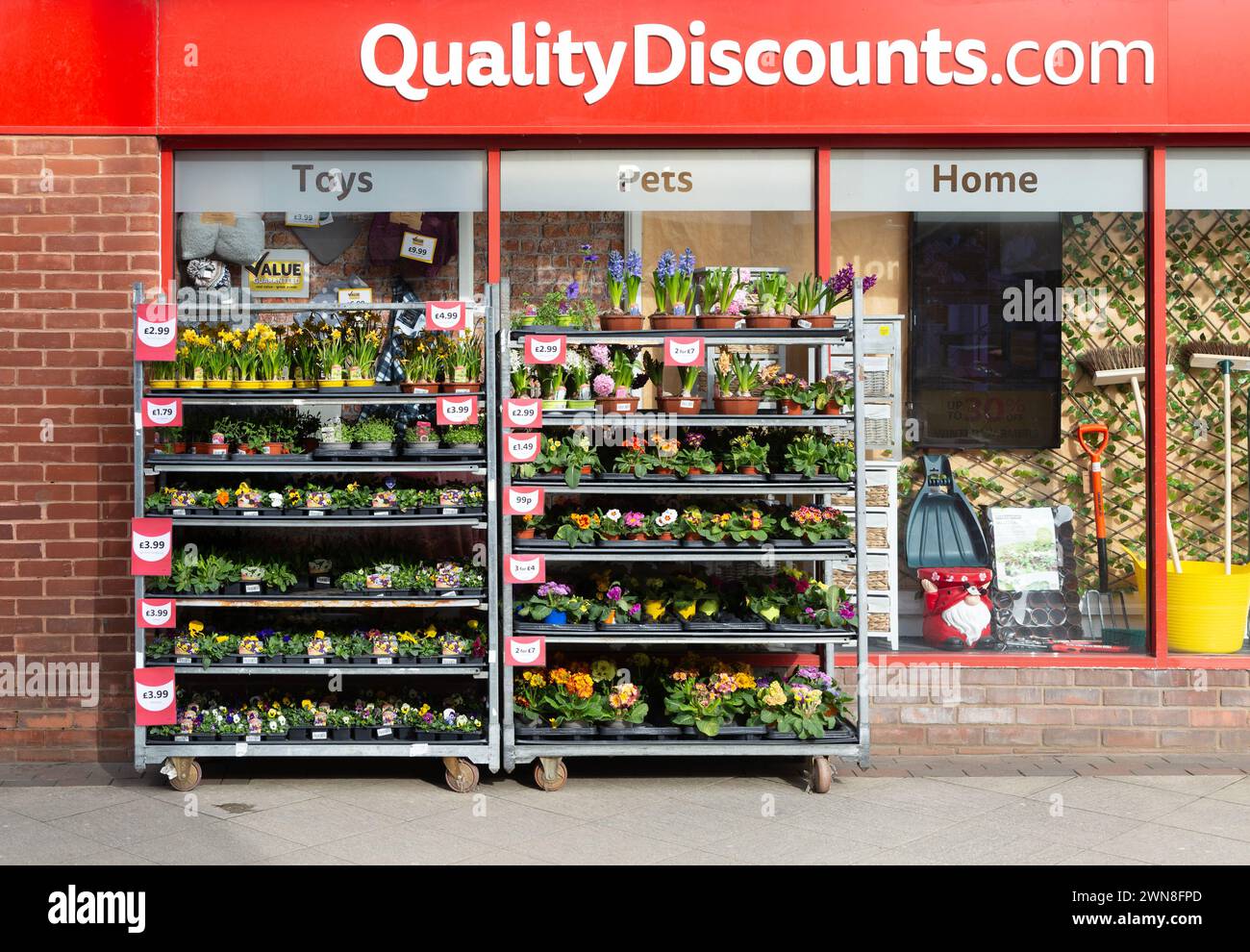Display of potted plants for sale outside Quality Discounts shop, Stowmarket, Suffolk, England ...