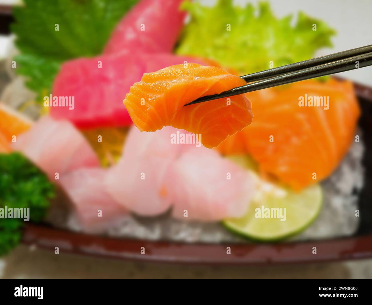 fresh salmon fish slice sashimi in chopsticks with tuna, salmon sashimi ...